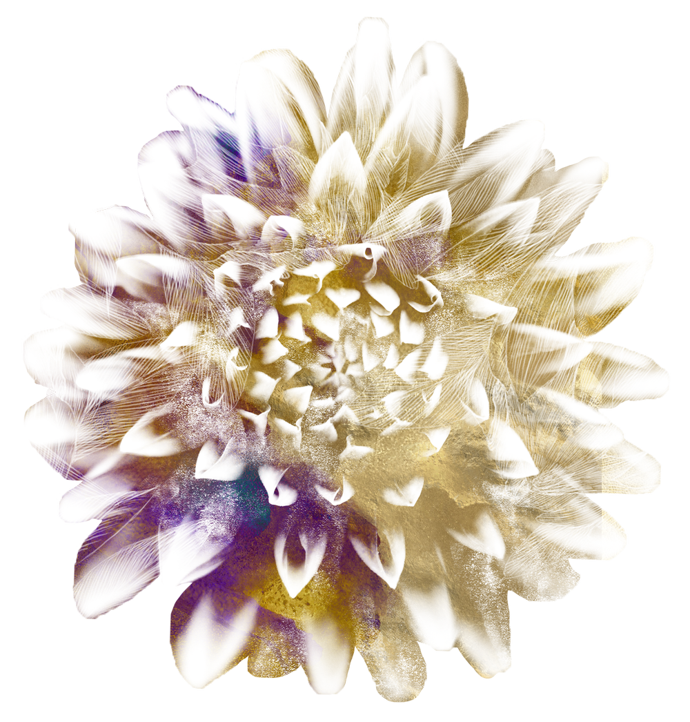 High Level Healing for Body, Mind & Spirit