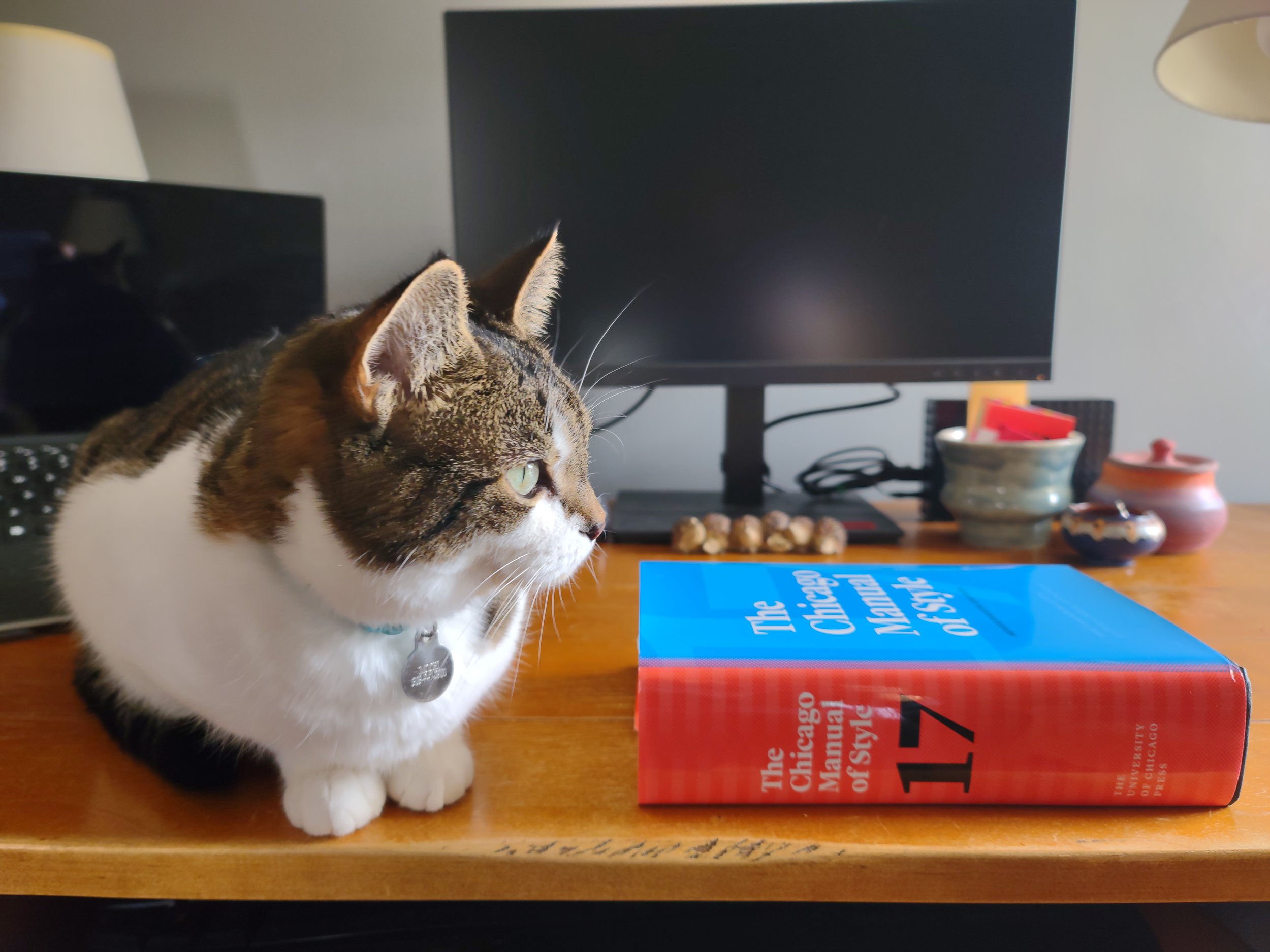 About — Emma Calabrese Editing Services