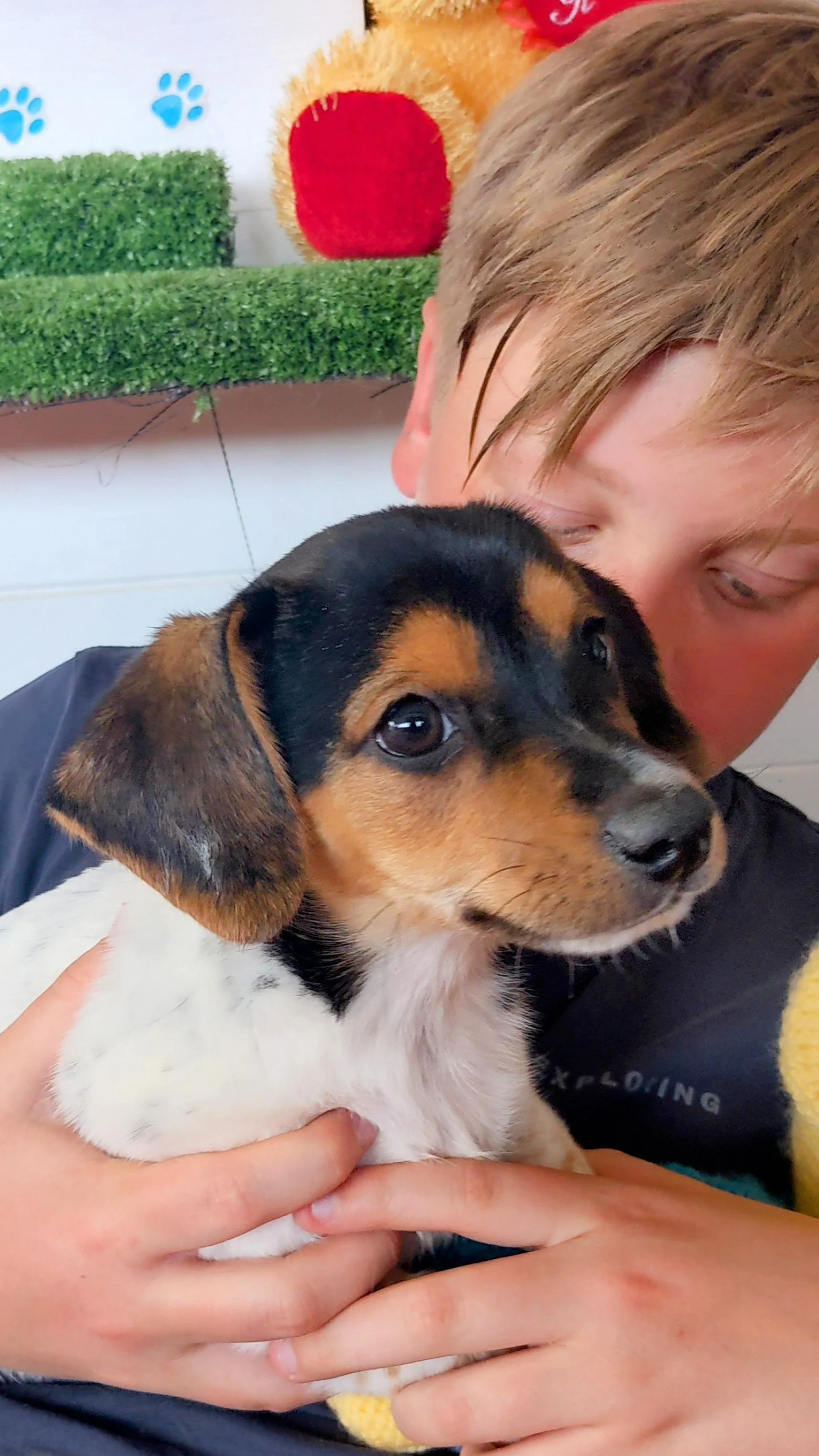 Pongo 3 (Adopted) — Extra Special Dog Rescue