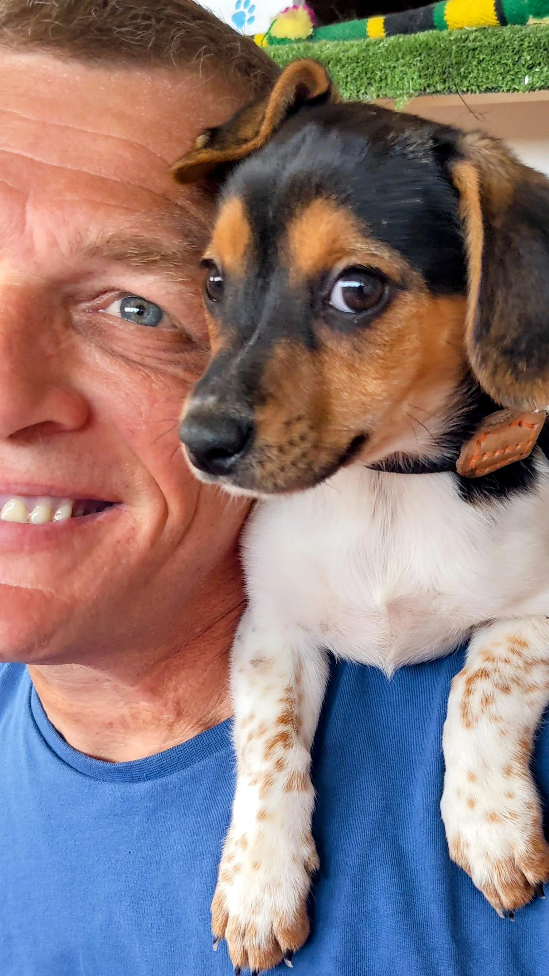 Pongo 3 (Adopted) — Extra Special Dog Rescue
