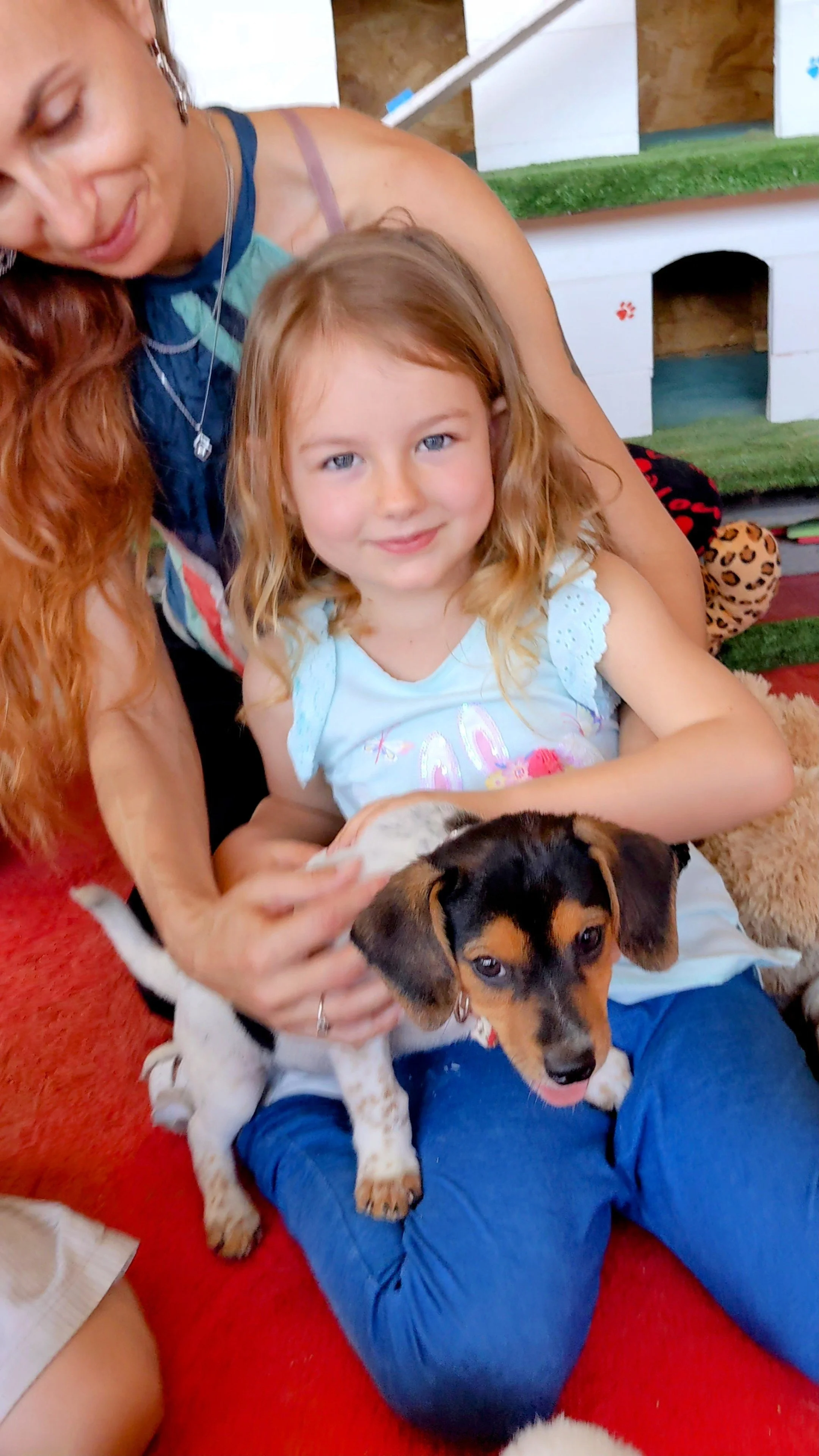 Pongo 3 (Adopted) — Extra Special Dog Rescue