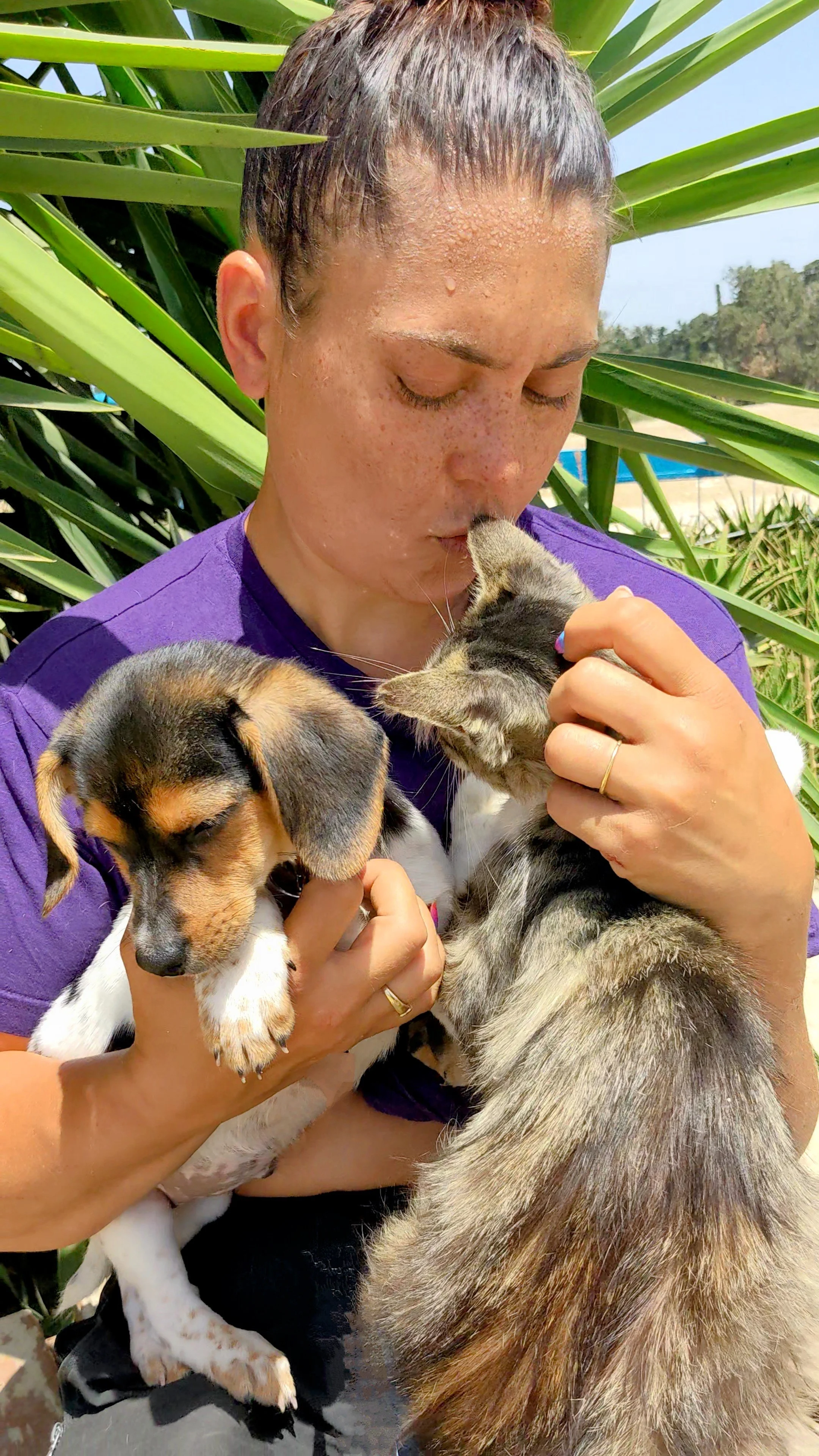 Pongo 3 (Adopted) — Extra Special Dog Rescue