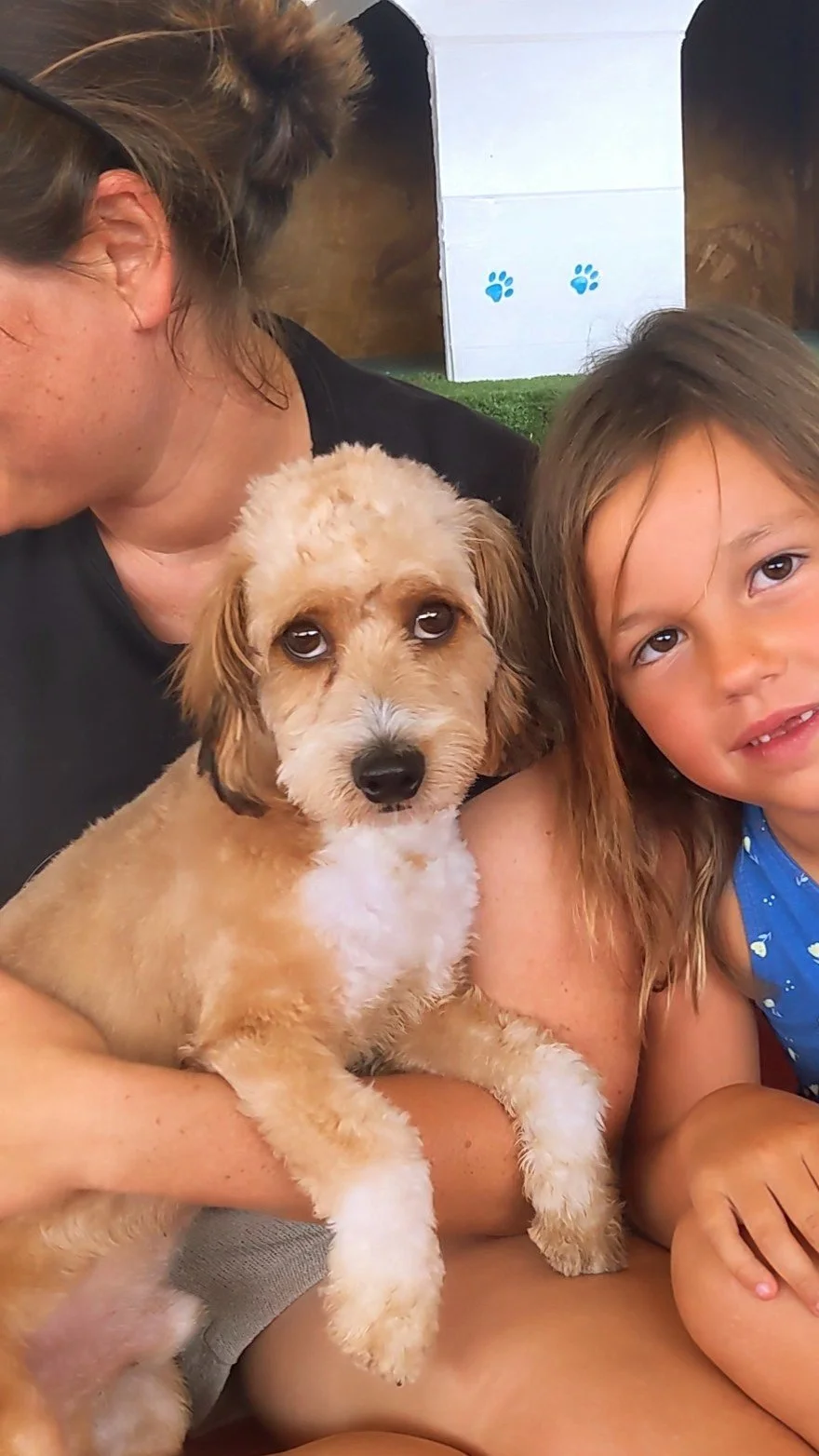 Basil (Adopted) — Extra Special Dog Rescue