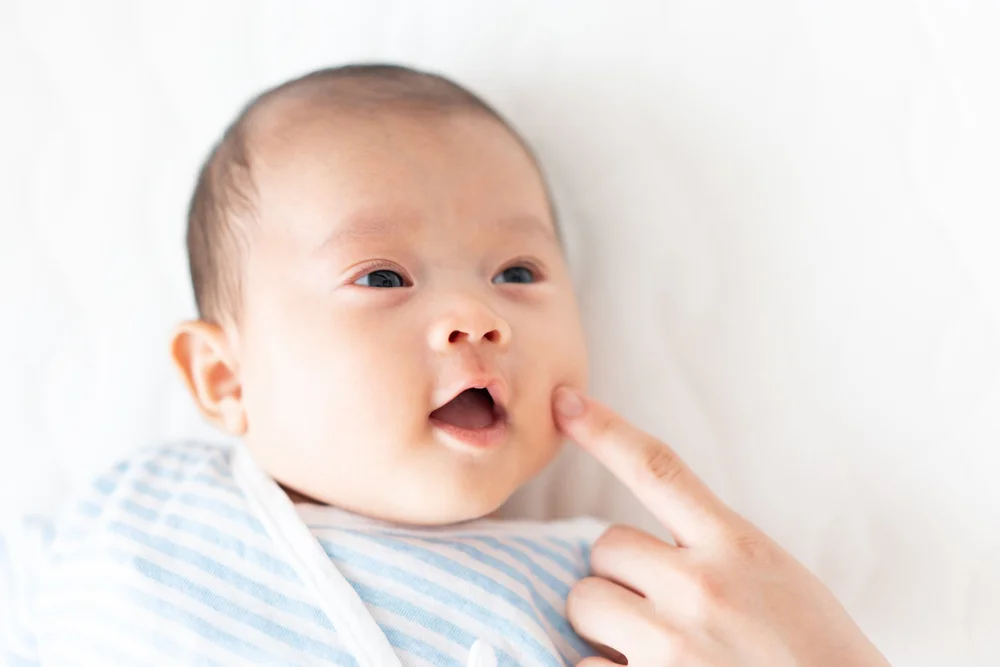 Rooting Reflex — Blessingways