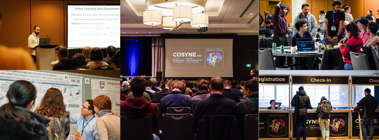 About COSYNE — COSYNE