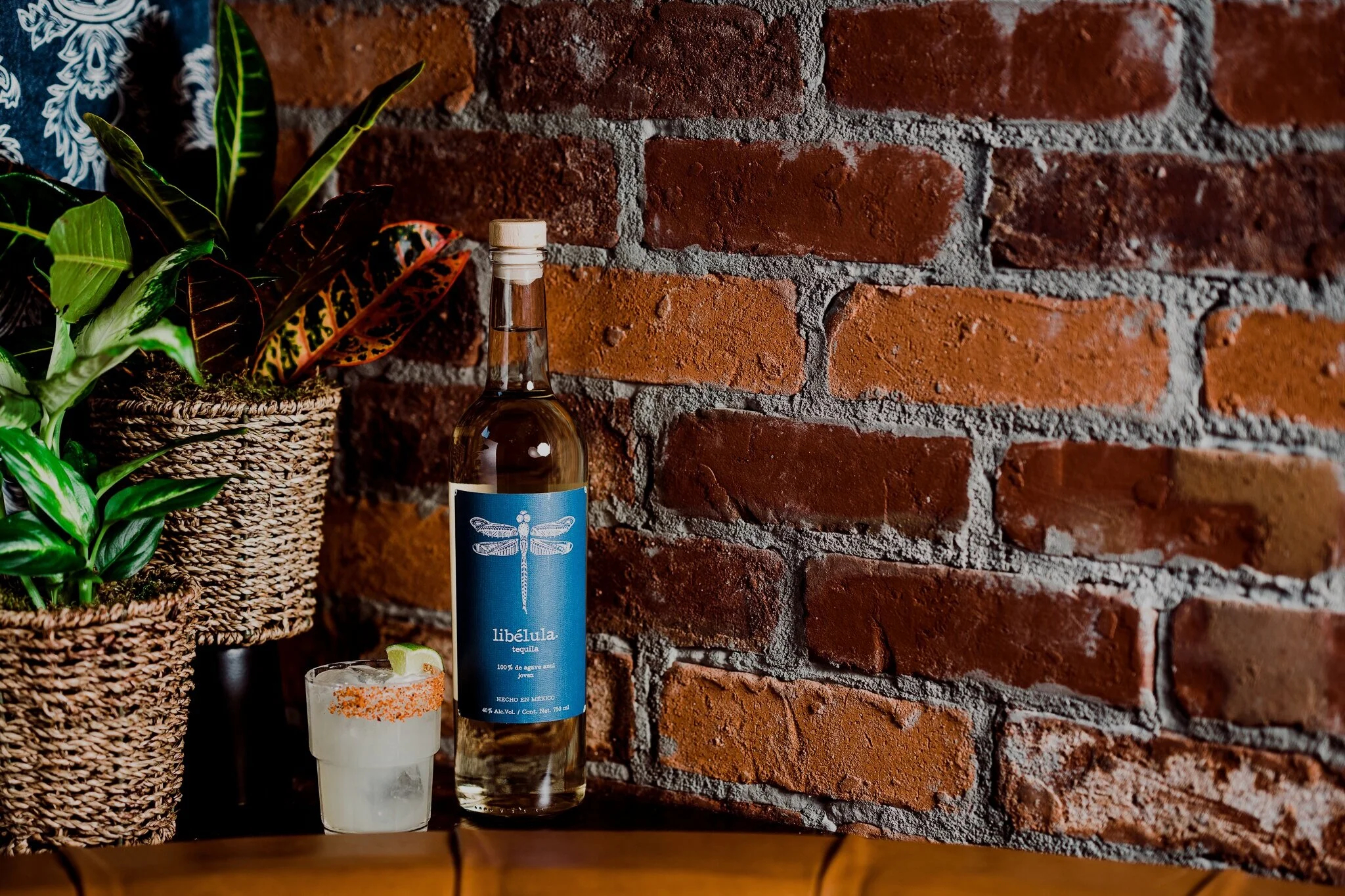 the tequila — Libélula tequila