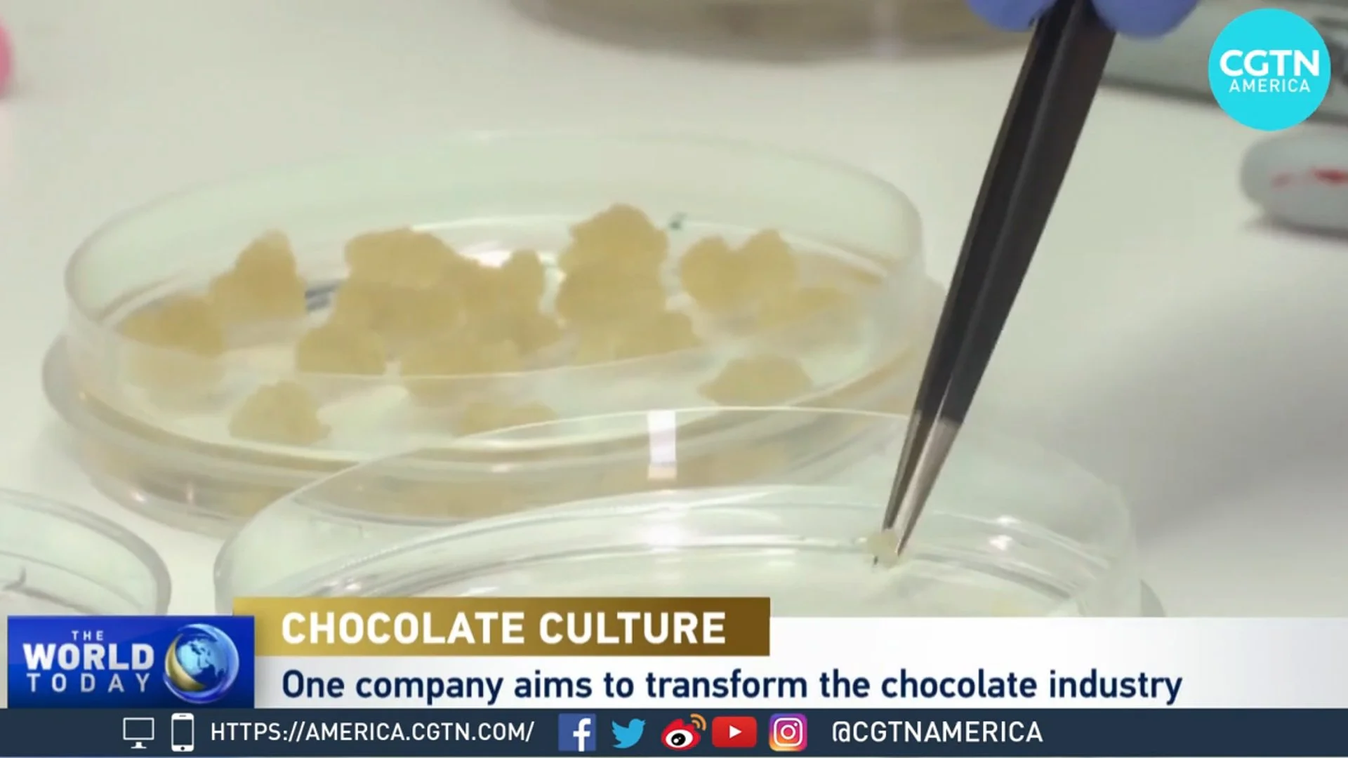 Press — The Future of Coffee and Chocolate | California Cultured