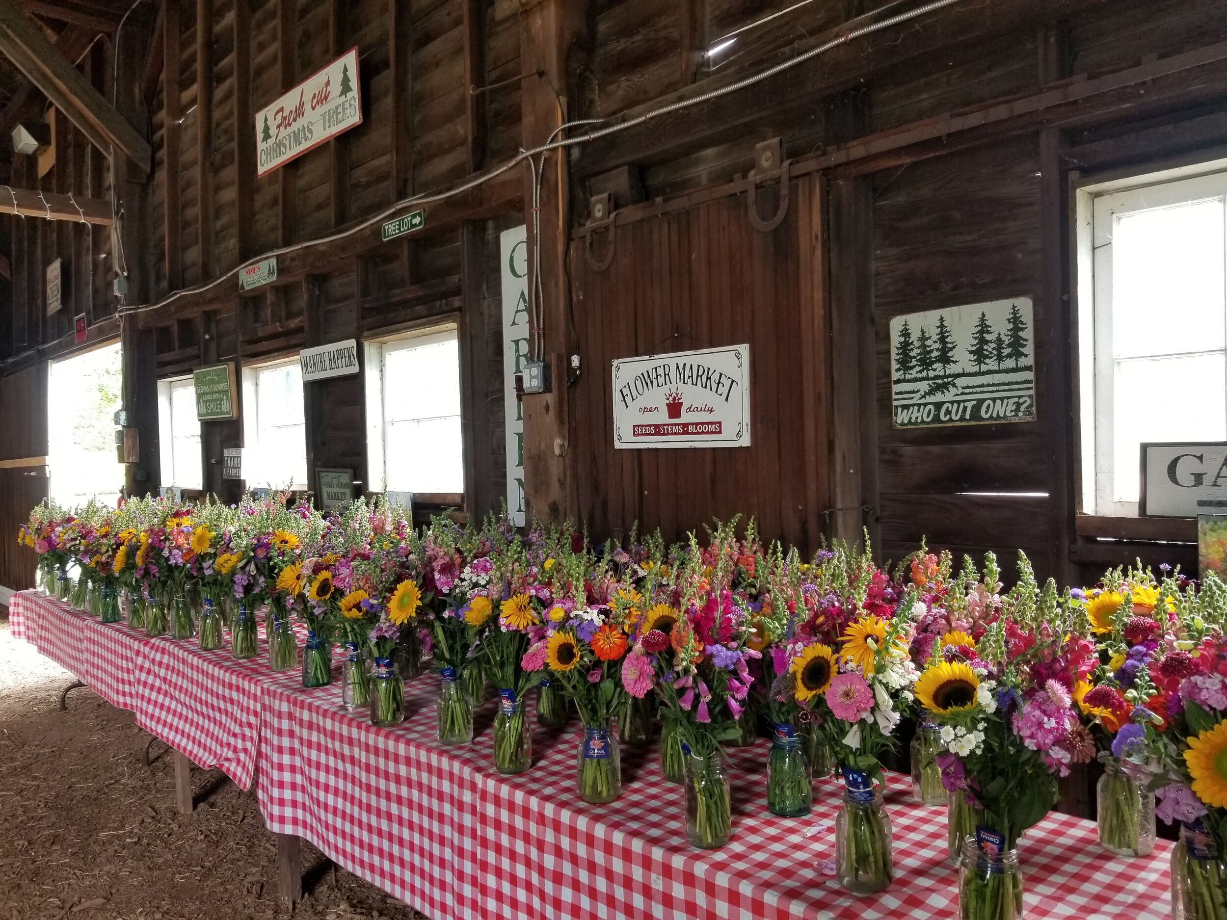 Syme Family Farm