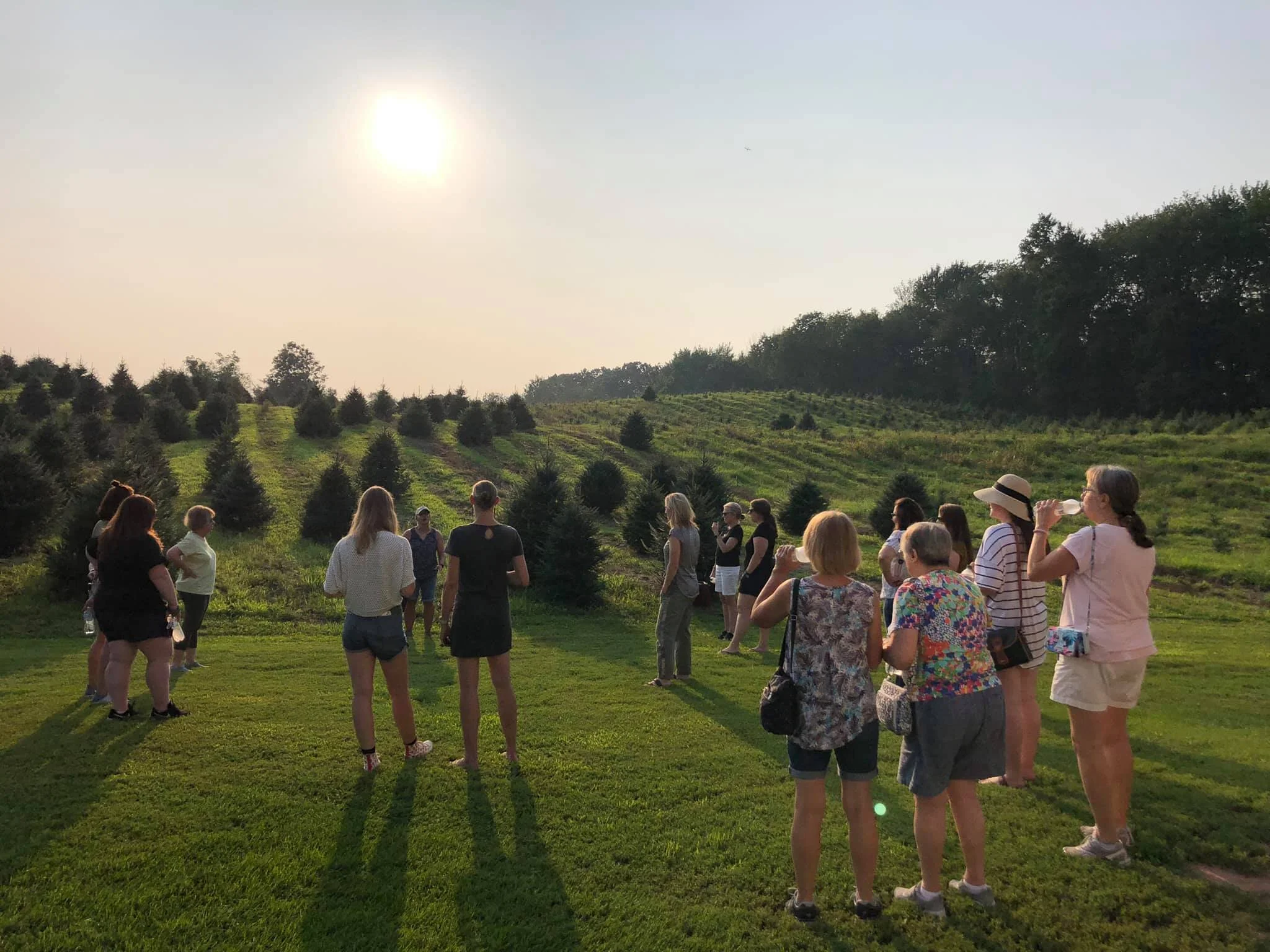 Store 1 — Syme Family Farm