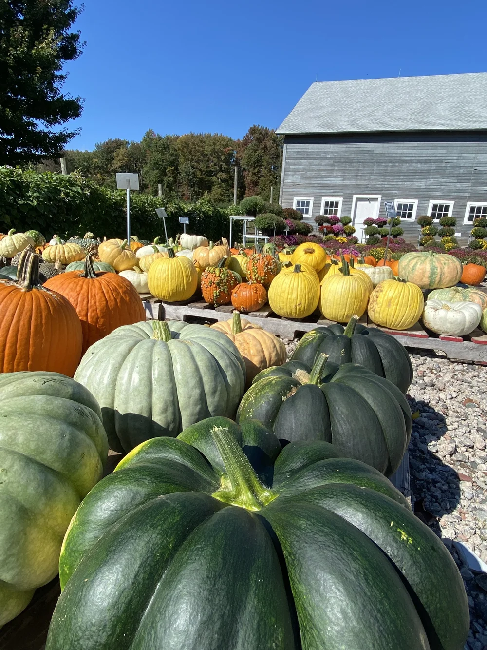 Syme Family Farm