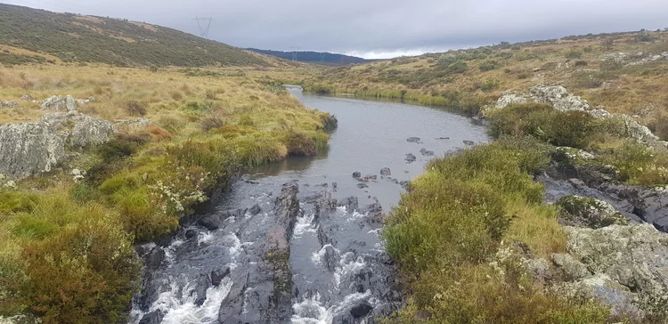 The Murrumbidgee River — Upper Murrumbidgee Demonstration Reach