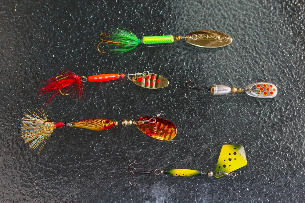 Species Spotlight: Brown Trout — Upper Murrumbidgee Demonstration Reach