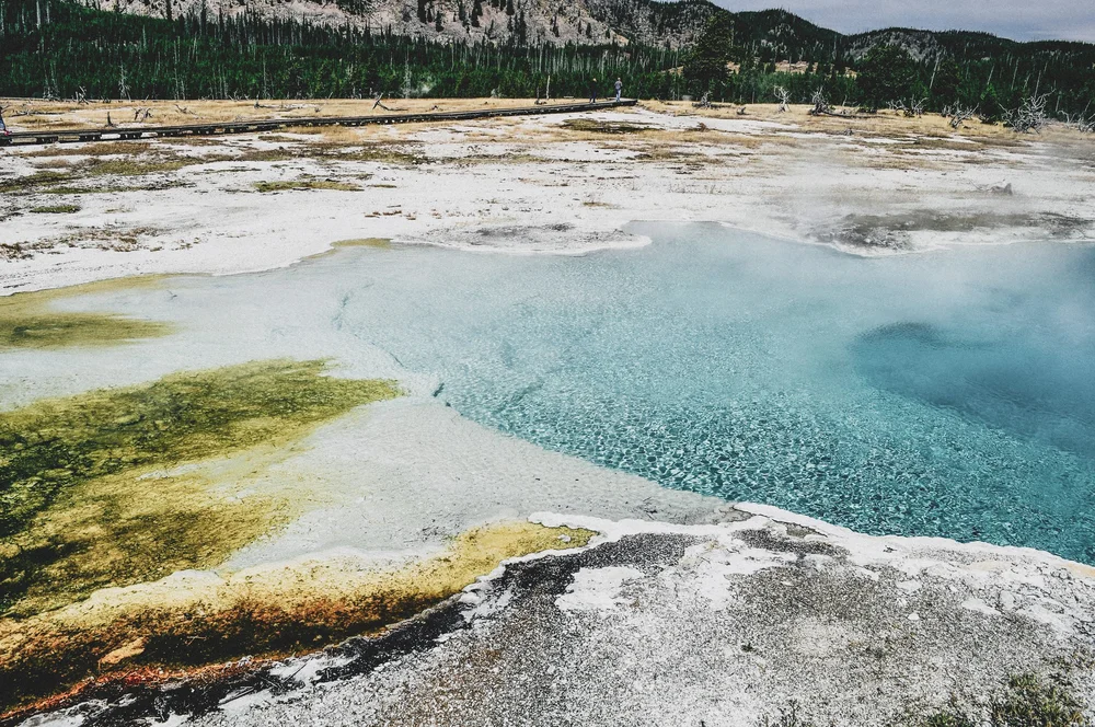 YELLOWSTONE — julia takes pics