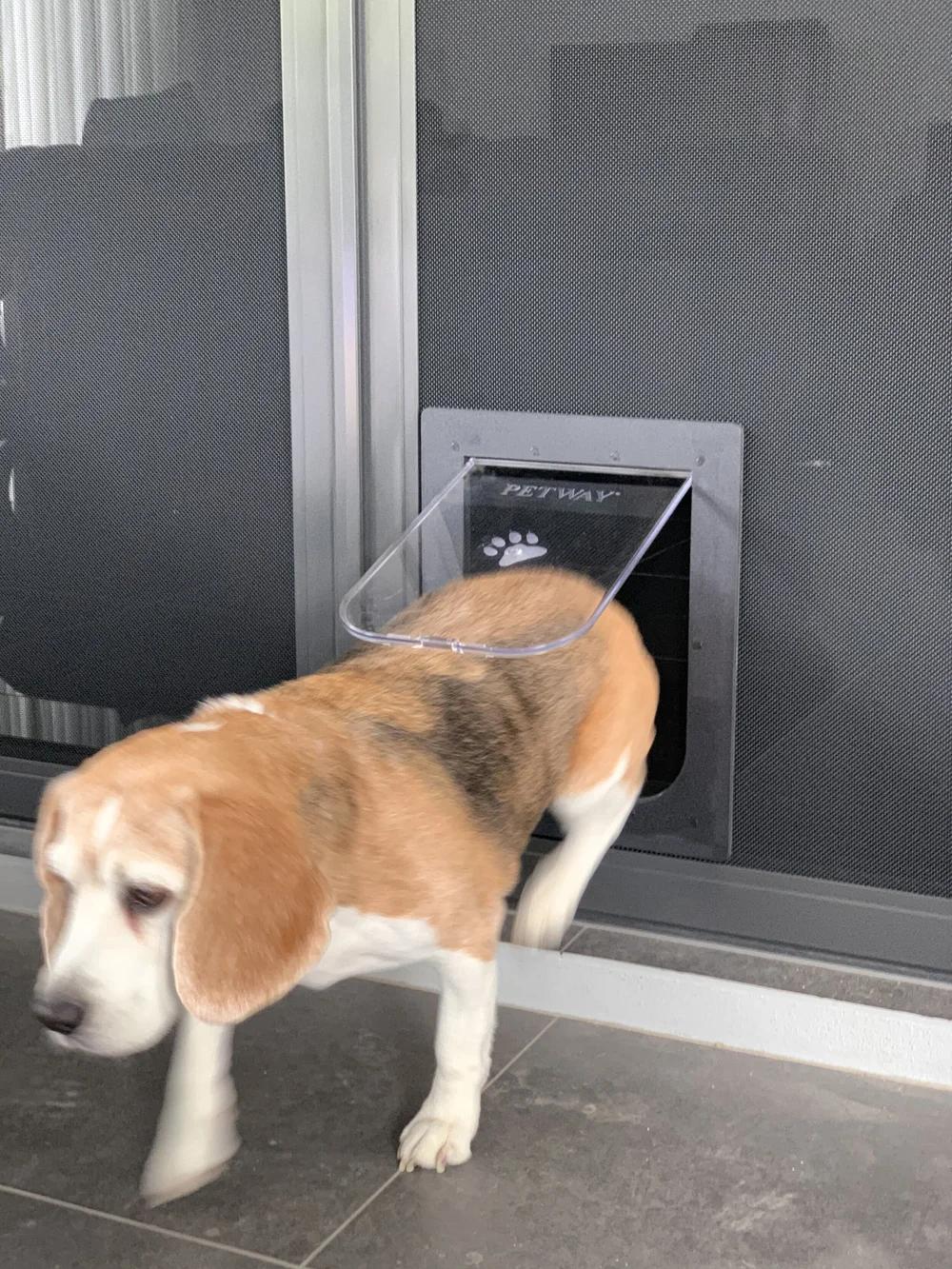 Prowler Proof ForceField Stainless Steel Security Screens — Security ...