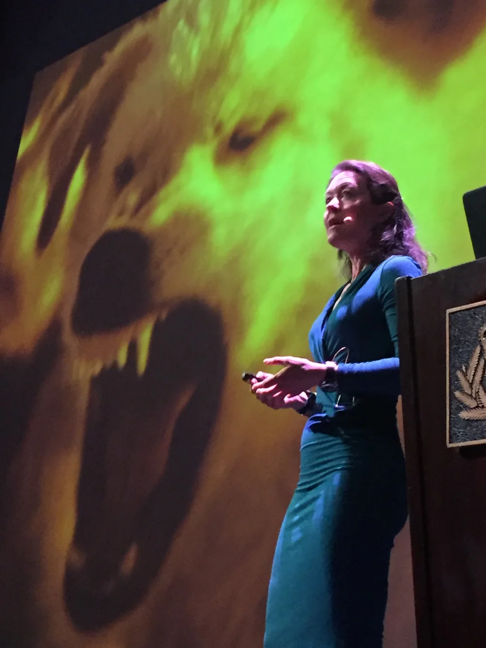 Kari Herbert, speaker and voice over — KARI HERBERT