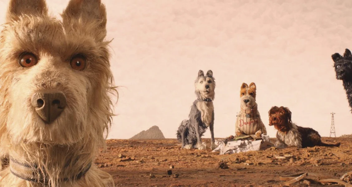 Top 8 : notre sélection des meilleurs films avec un chien — Chien-Chien