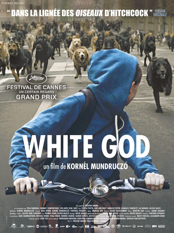 Top 8 : les meilleurs films avec un chien — Chien-Chien