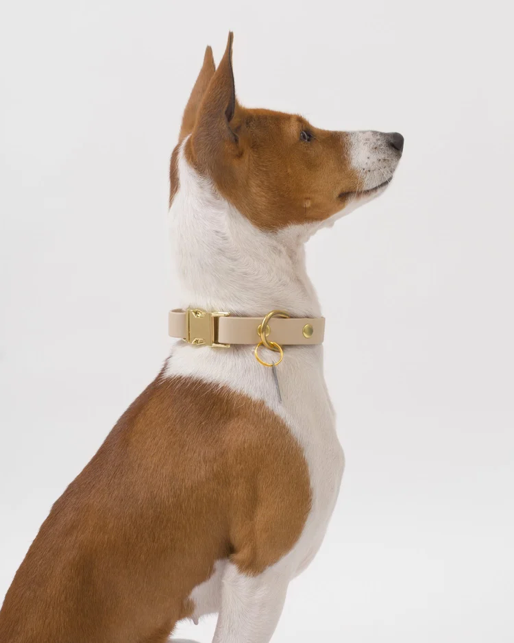 Laisse 3 positions Boston — Chien-Chien