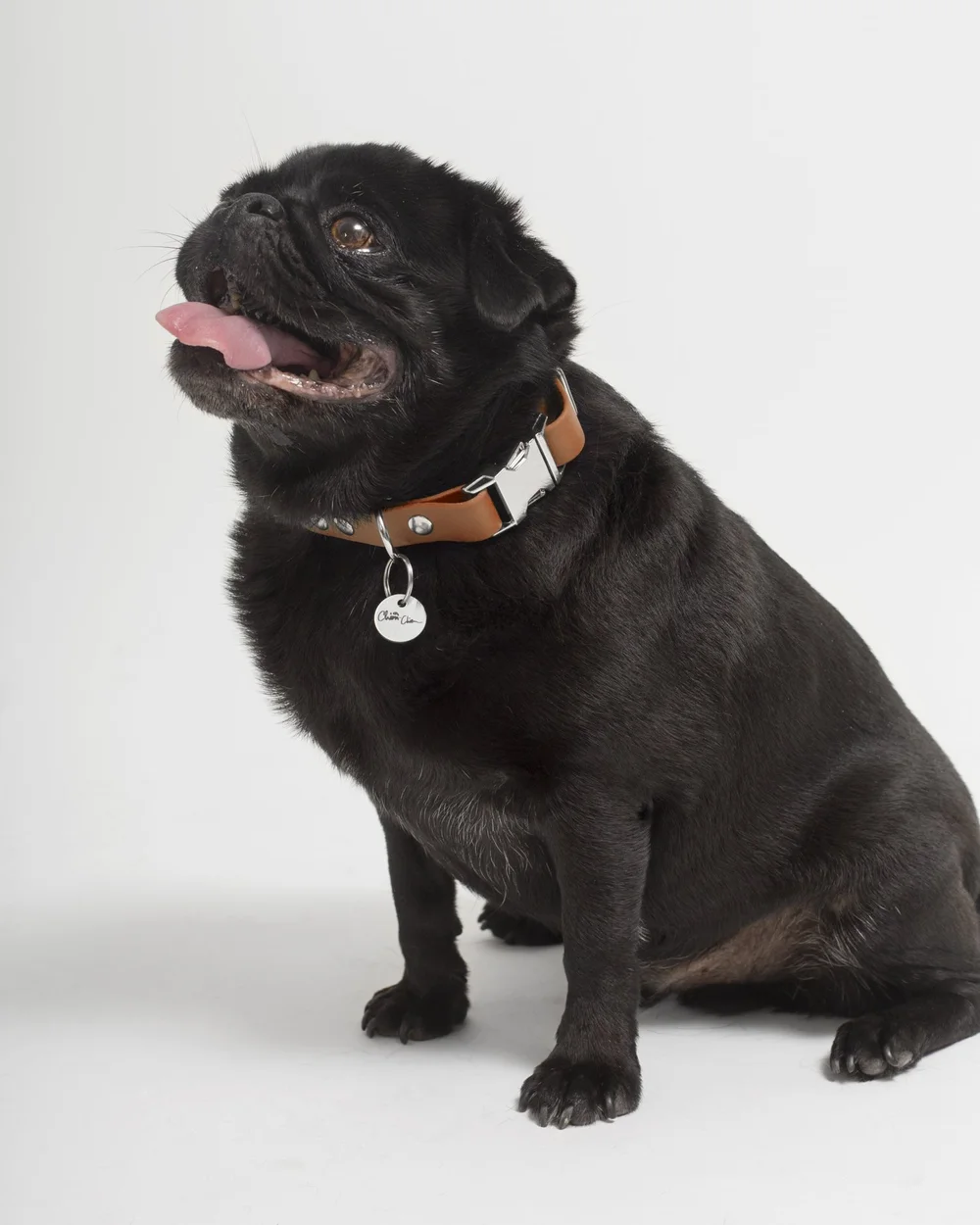 Laisse 3 positions corde Boston — Chien-Chien