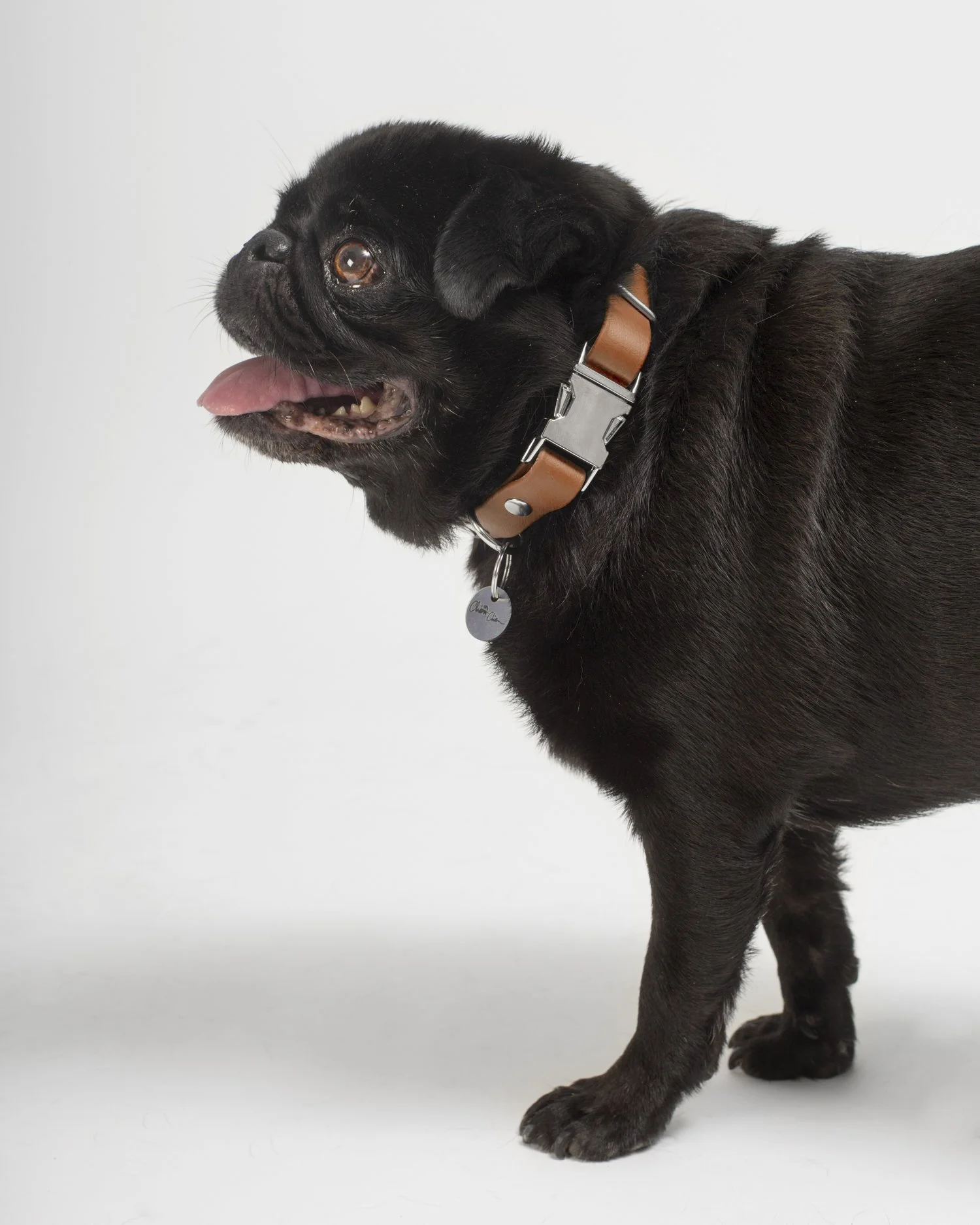 Laisse 3 positions corde Boston — Chien-Chien