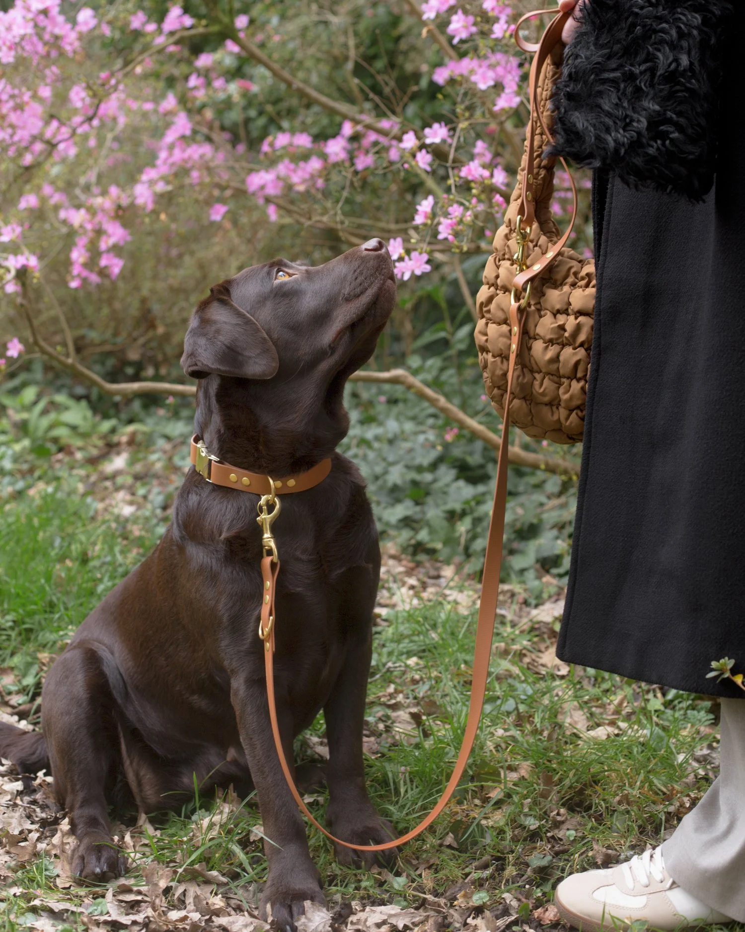 Laisse 3 positions corde Boston — Chien-Chien