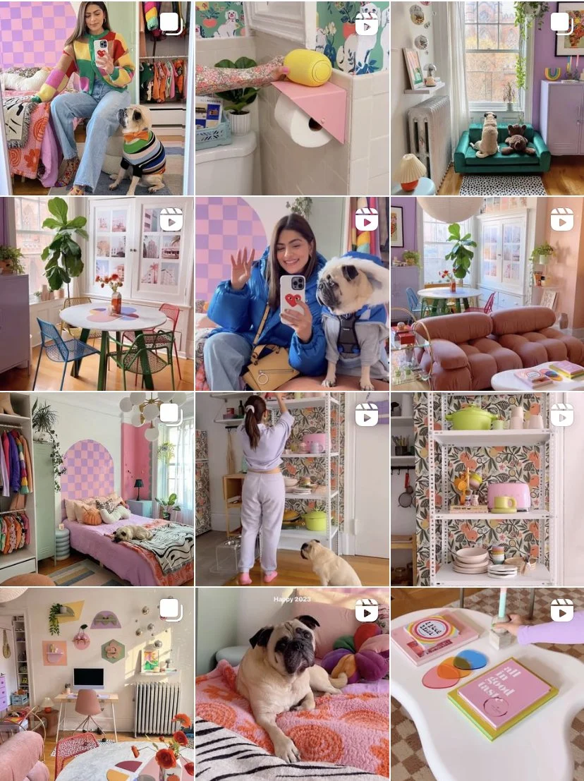 La race du mois : le Carlin aussi appelé "pug" — Chien-Chien