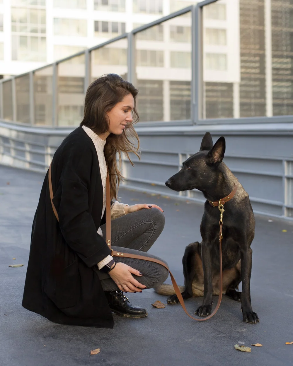 Laisse 3 positions corde Boston — Chien-Chien