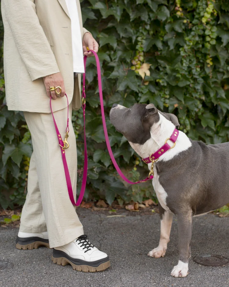 Laisse 3 positions pour chien Rio — Chien-Chien