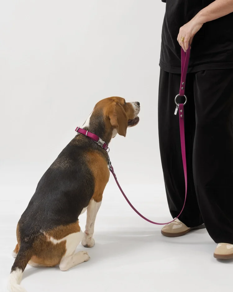 Laisse 3 positions Rio — Chien-Chien