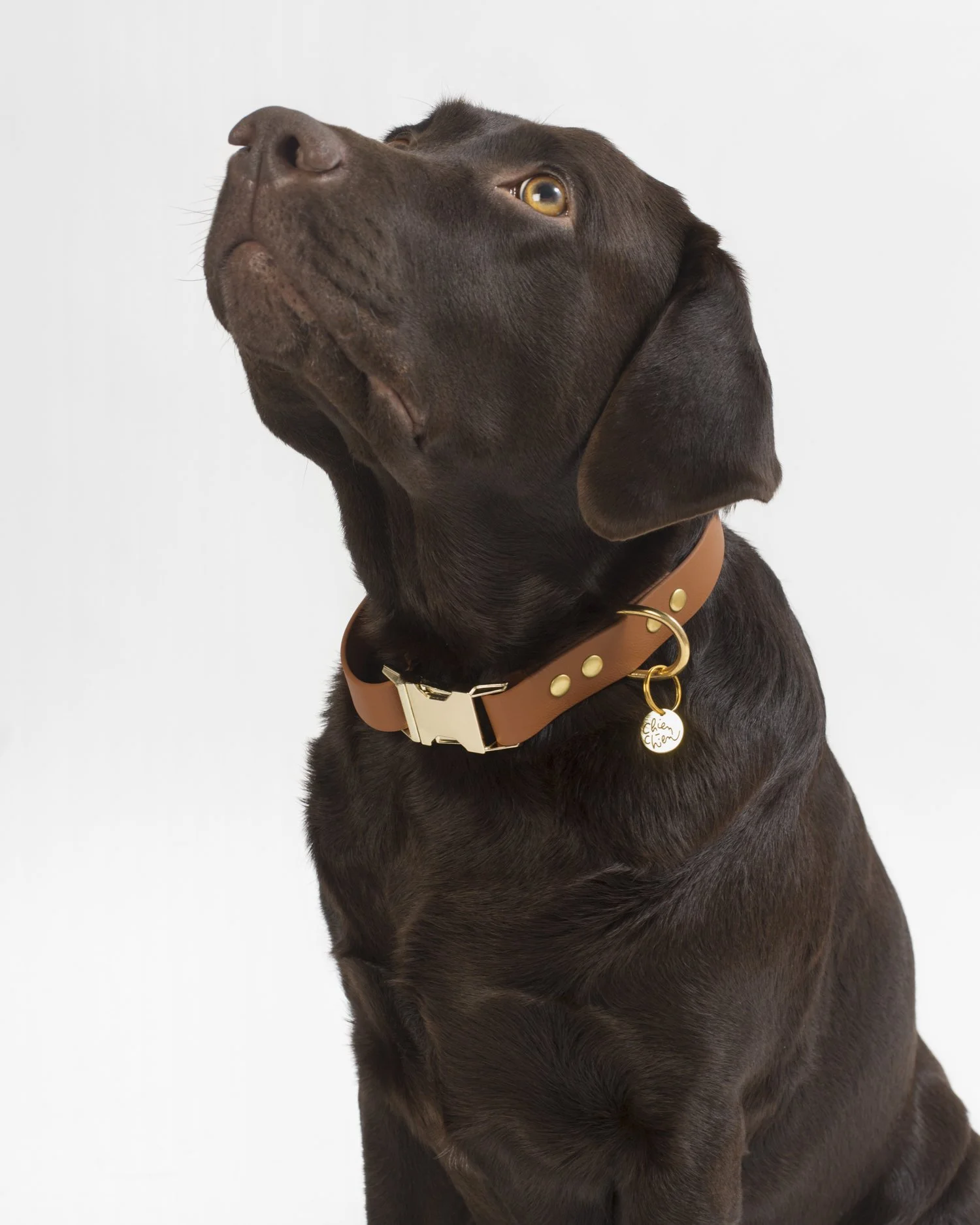 Laisse 3 positions corde Boston — Chien-Chien