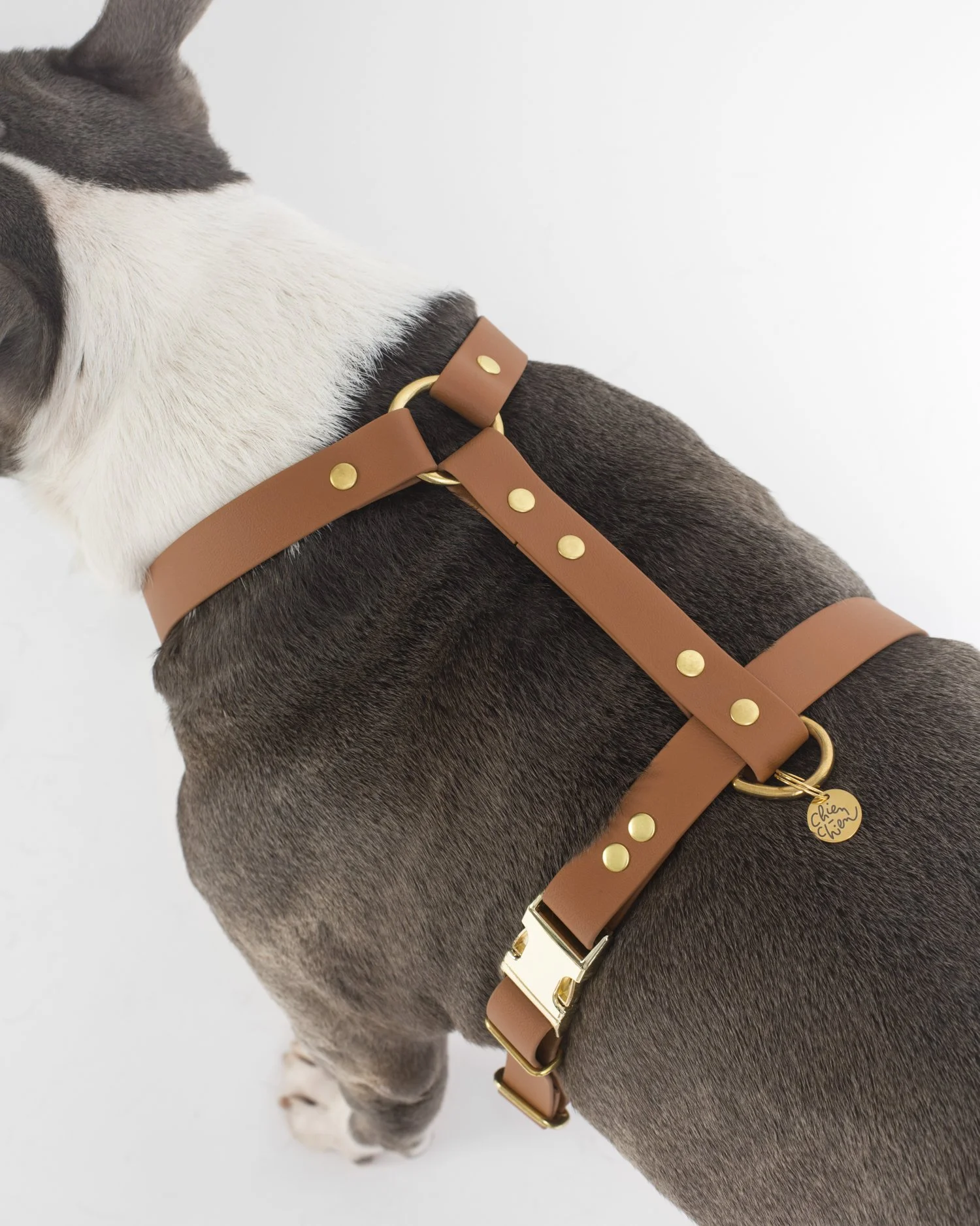 Laisse 3 positions corde Boston — Chien-Chien