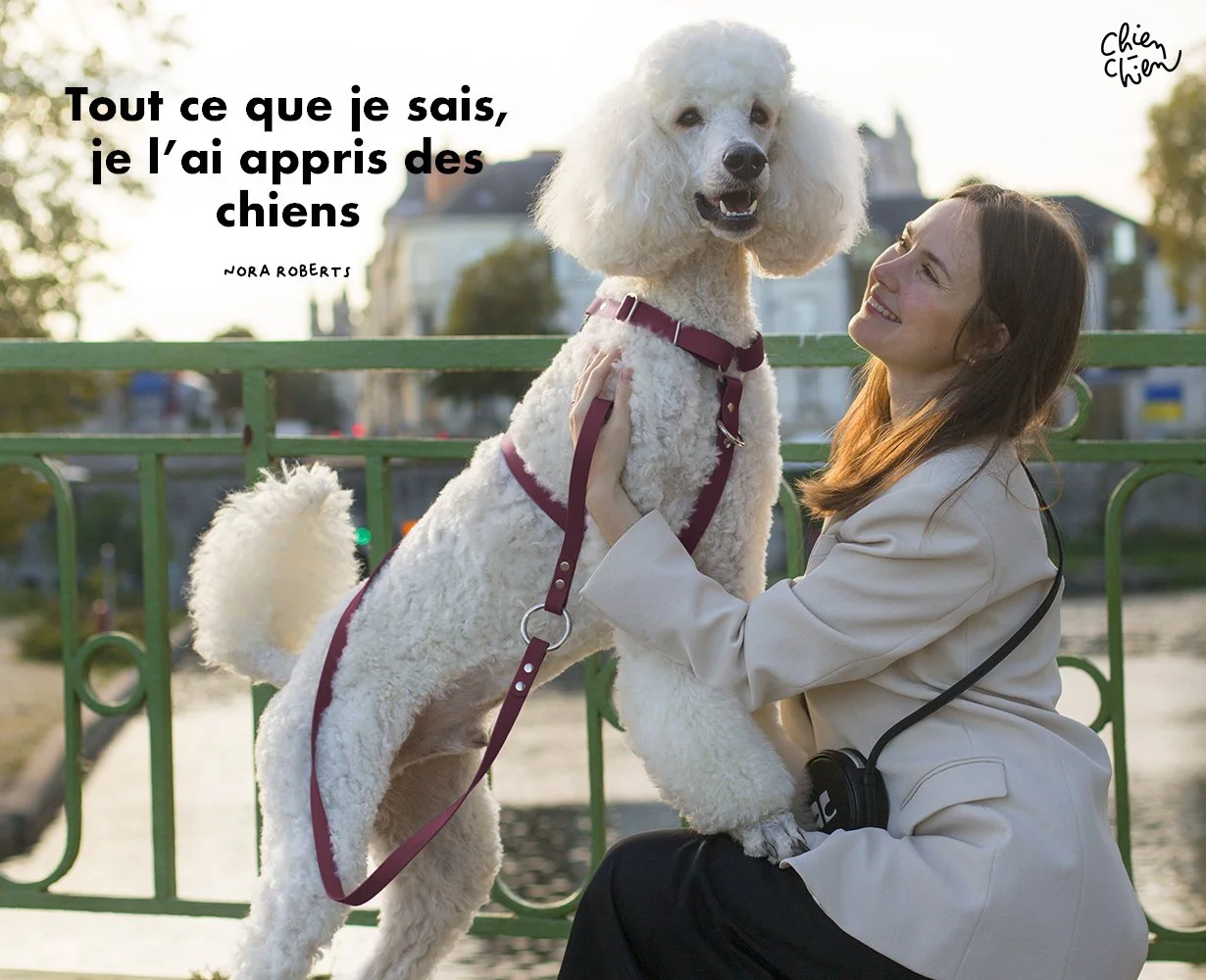 Les meilleures citations sur les chiens — Chien-Chien