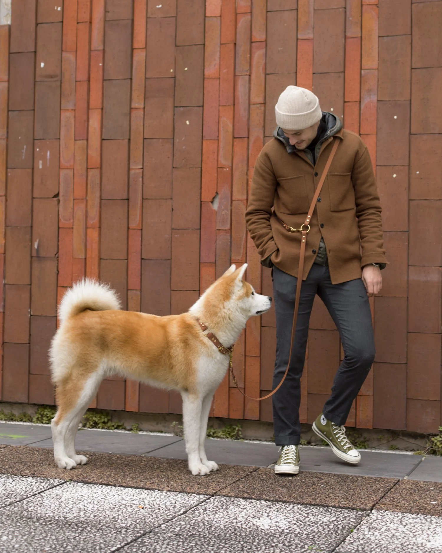Laisse 3 positions pour chien Boston — Chien-Chien