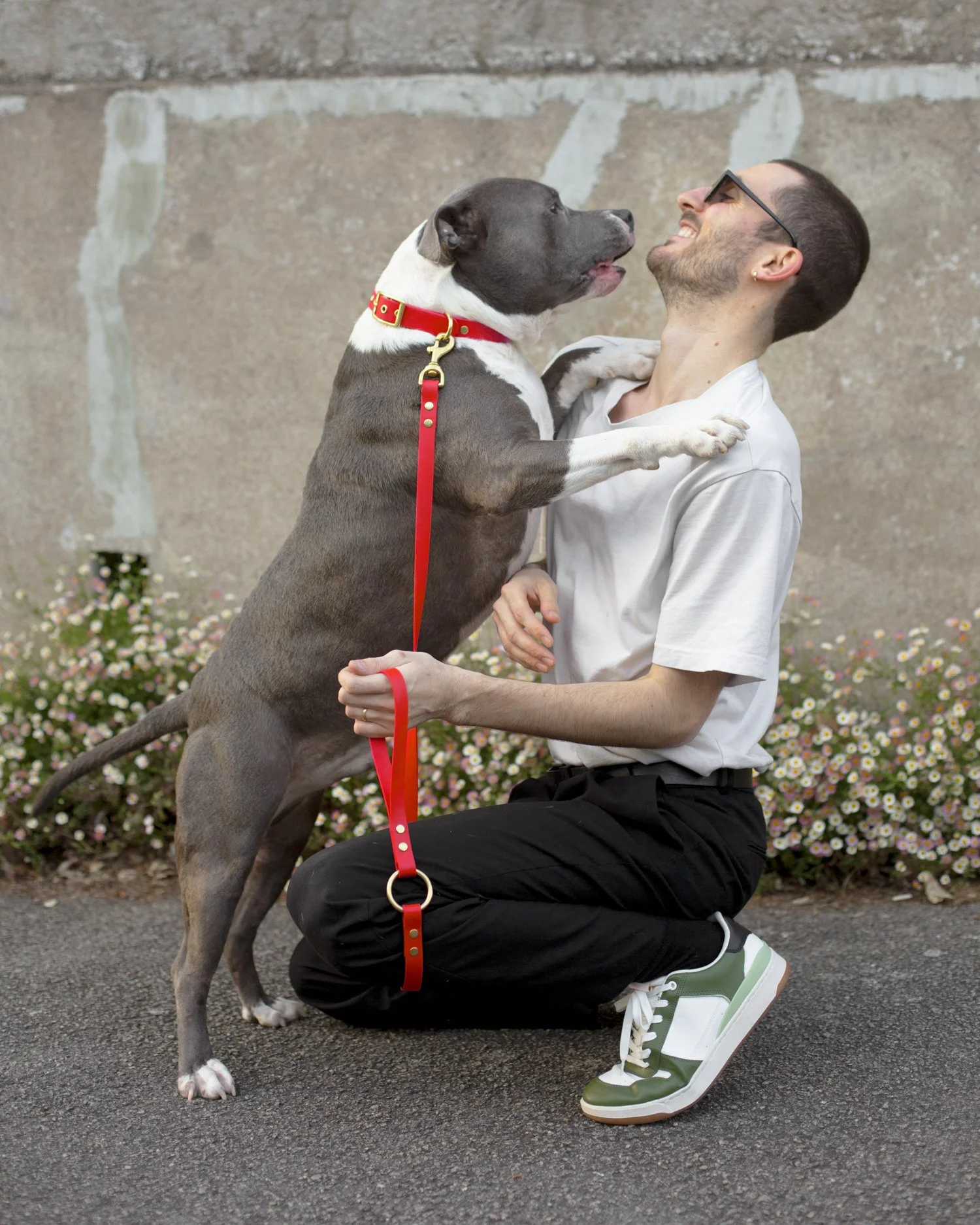 Laisse 3 positions Shanghai — Chien-Chien
