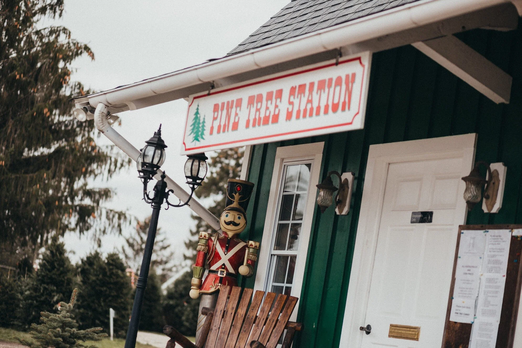 Family Activities — Medina Christmas Tree Farms