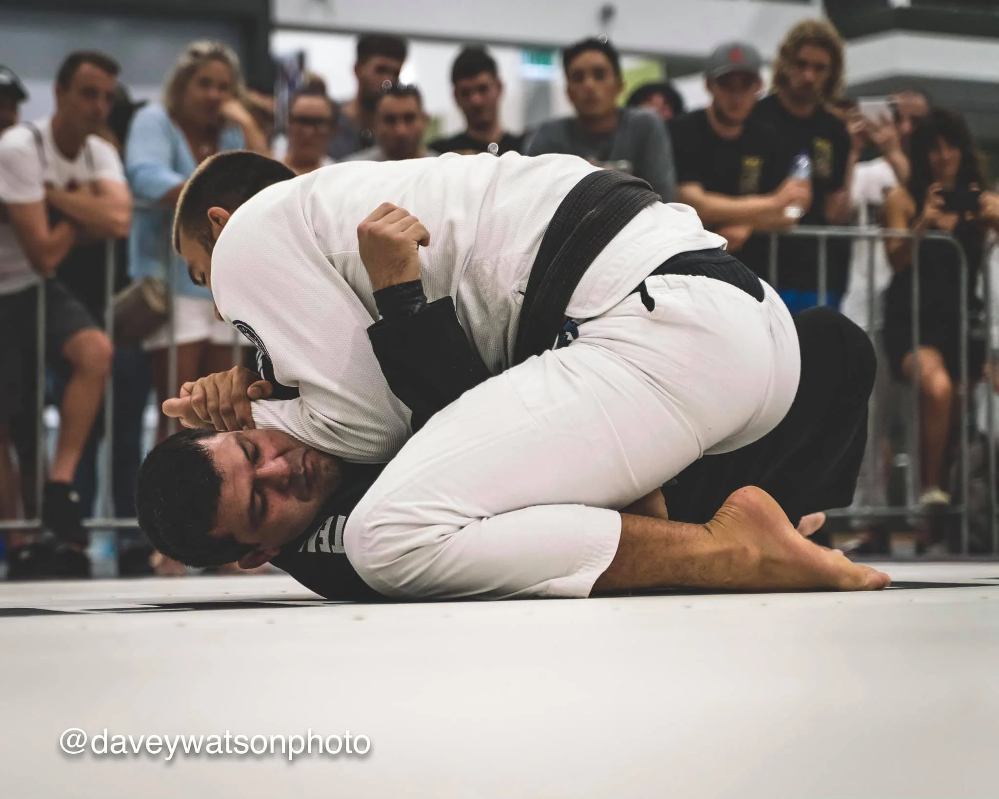 Constrictor Team Australia