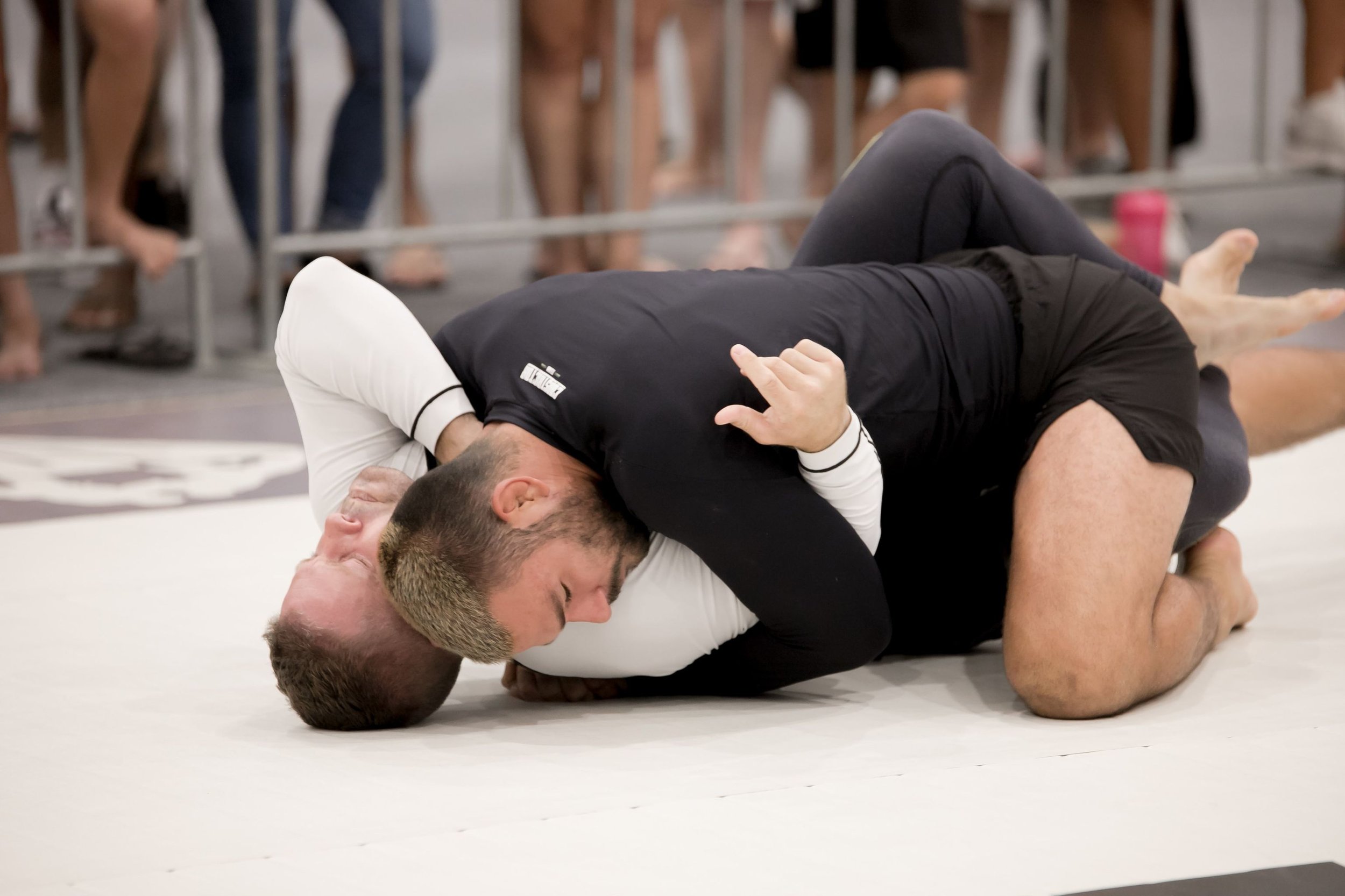 Constrictor Team Australia