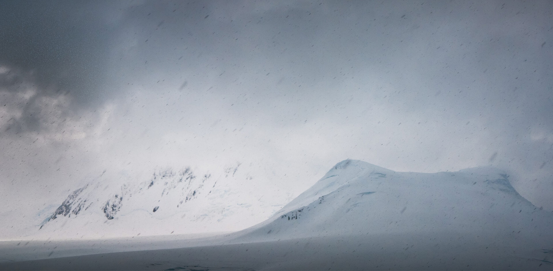 Diane Ott Whealy — Seeds of Time