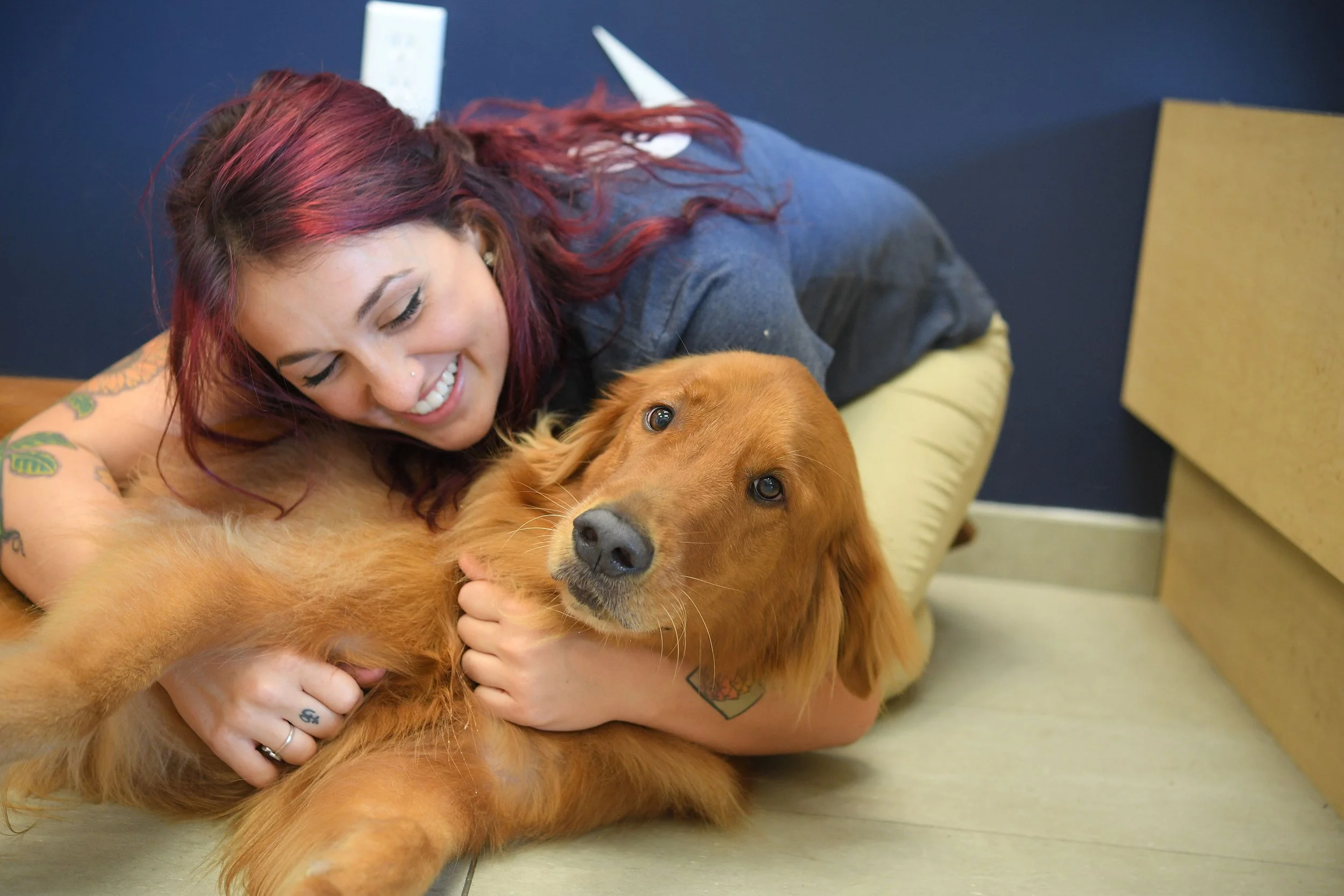 Why Does My Dog Sleep With Eyes Open? Is It Normal?