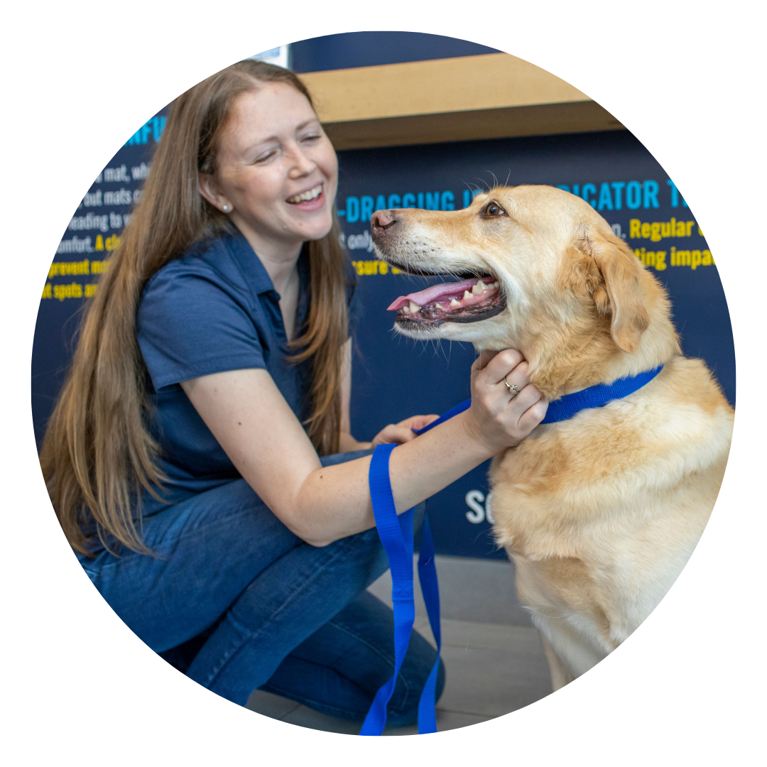 Scenthound | About Us