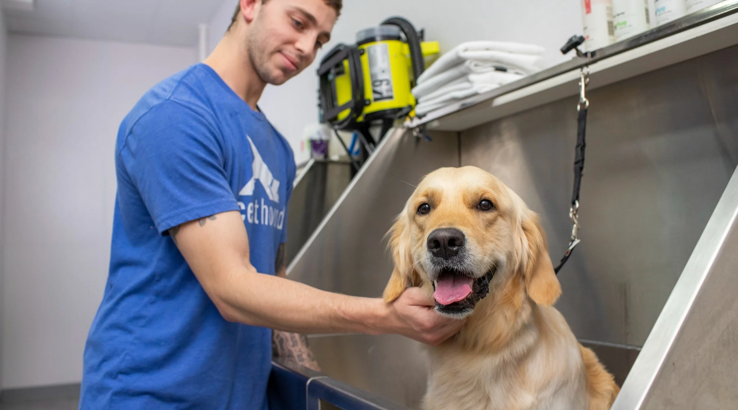 The Ultimate Guide to Maintaining Your Dog’s Skin and Coat Health