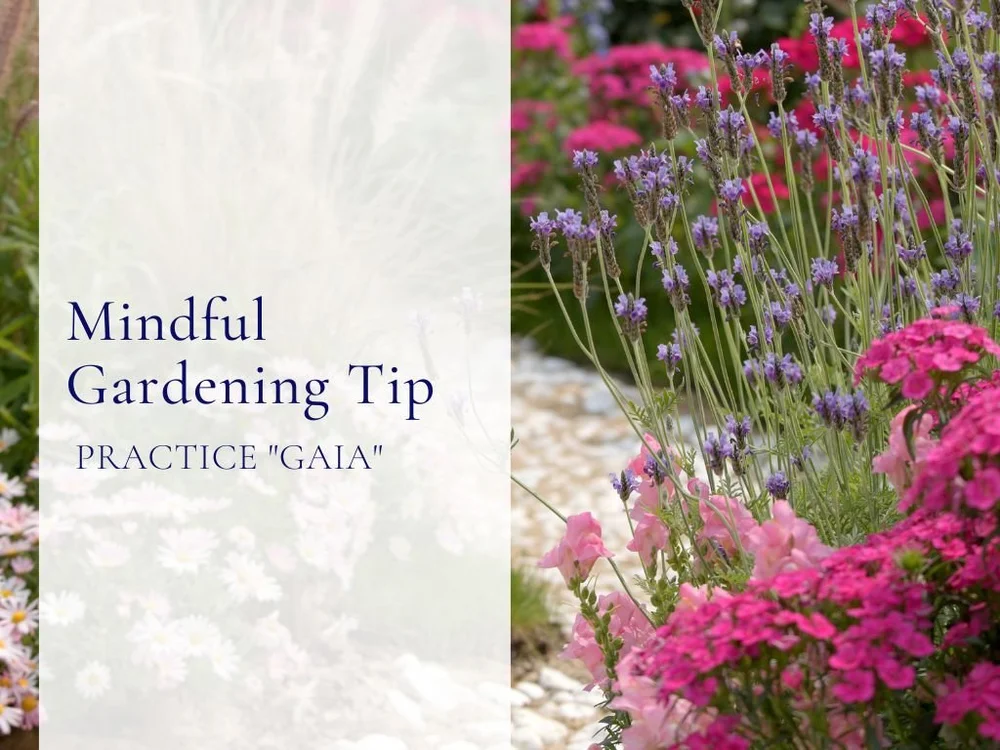 Mindful Gardening Tip: How to Practice “GAIA” In the Garden — The Flower Remedy