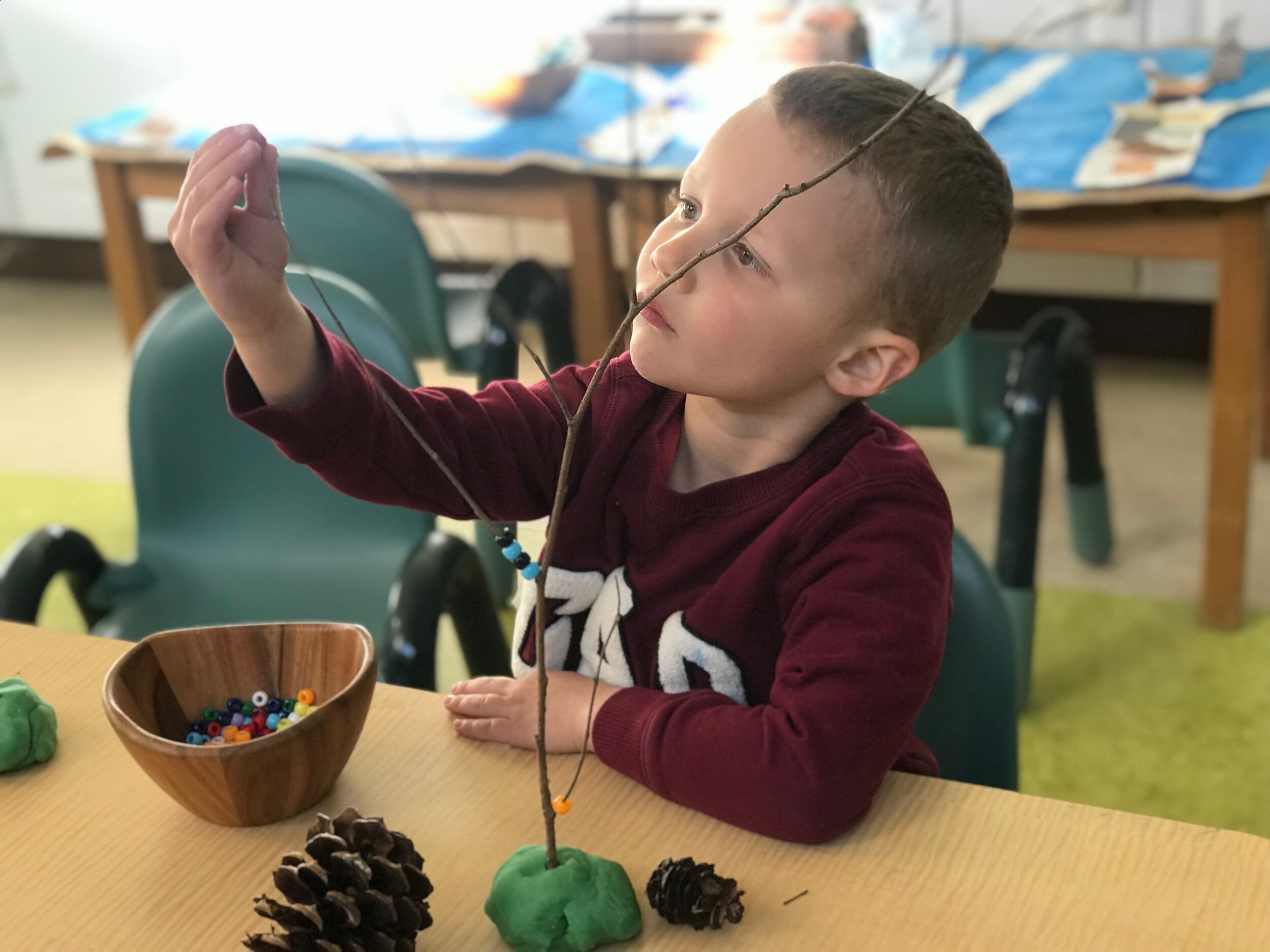 The Discovery School