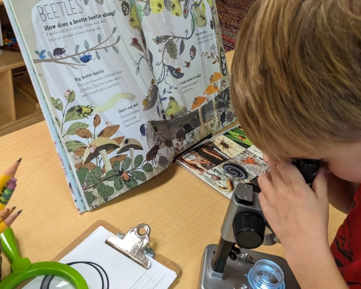 Program — The Discovery School