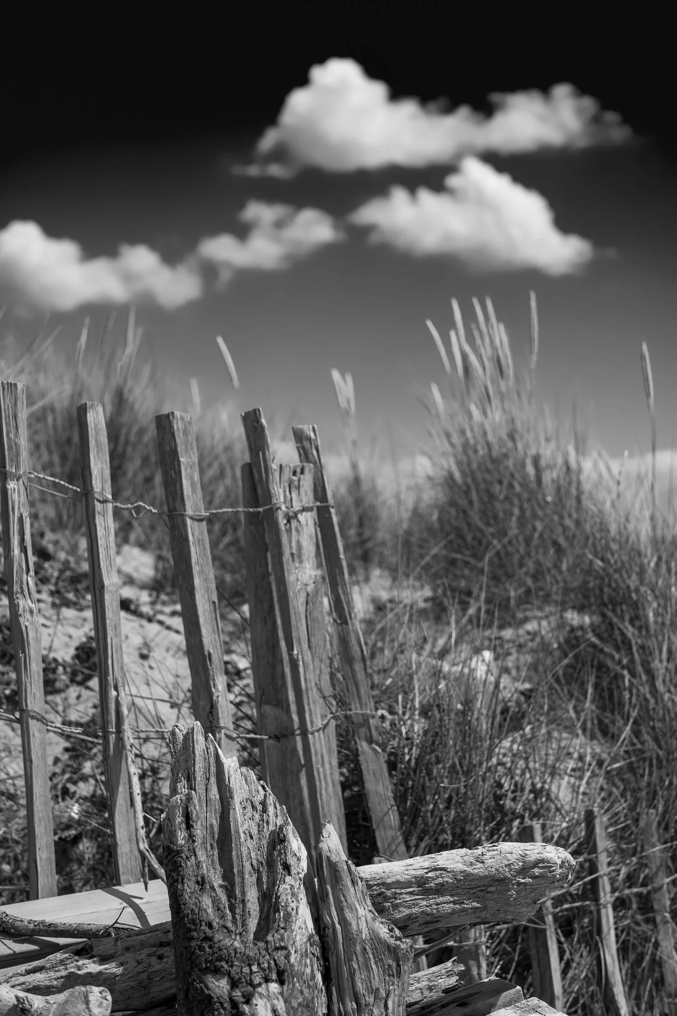 Destination La Flotte — KIERON BEARD