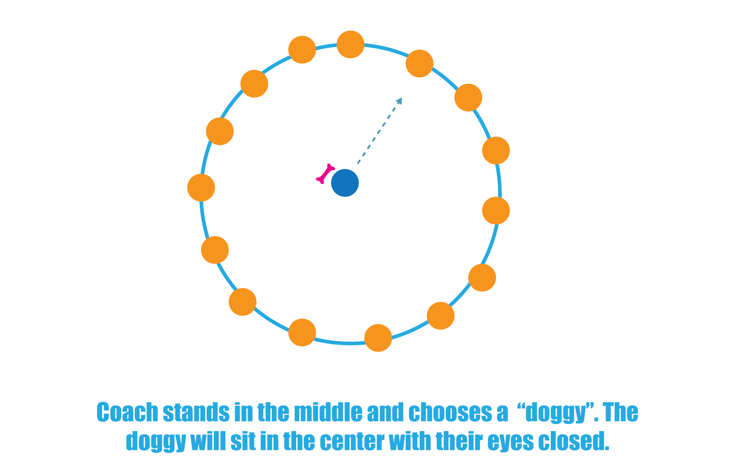 Doggy ‘Where’s My Bone’ — Active Education