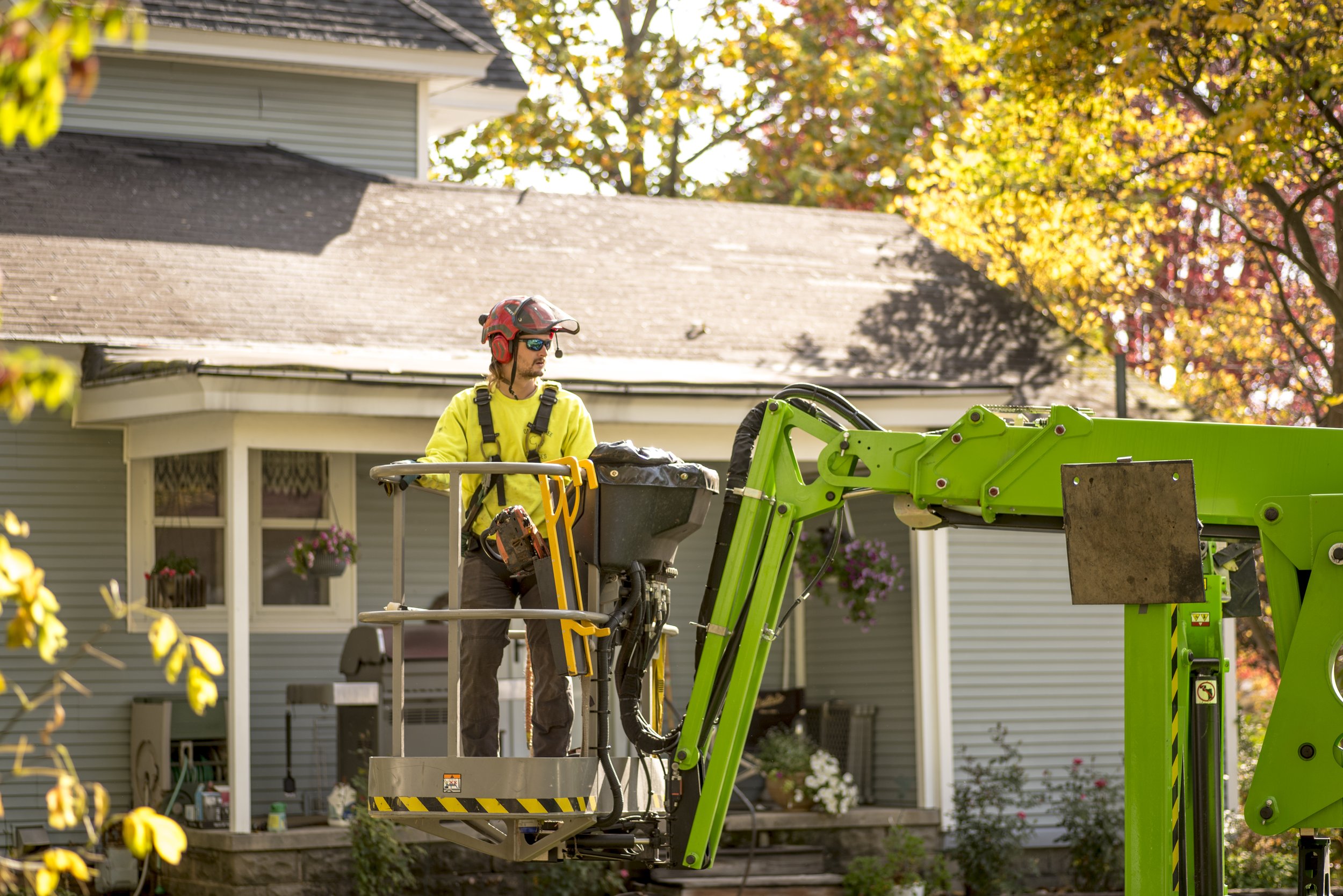 OnSite Tree Services