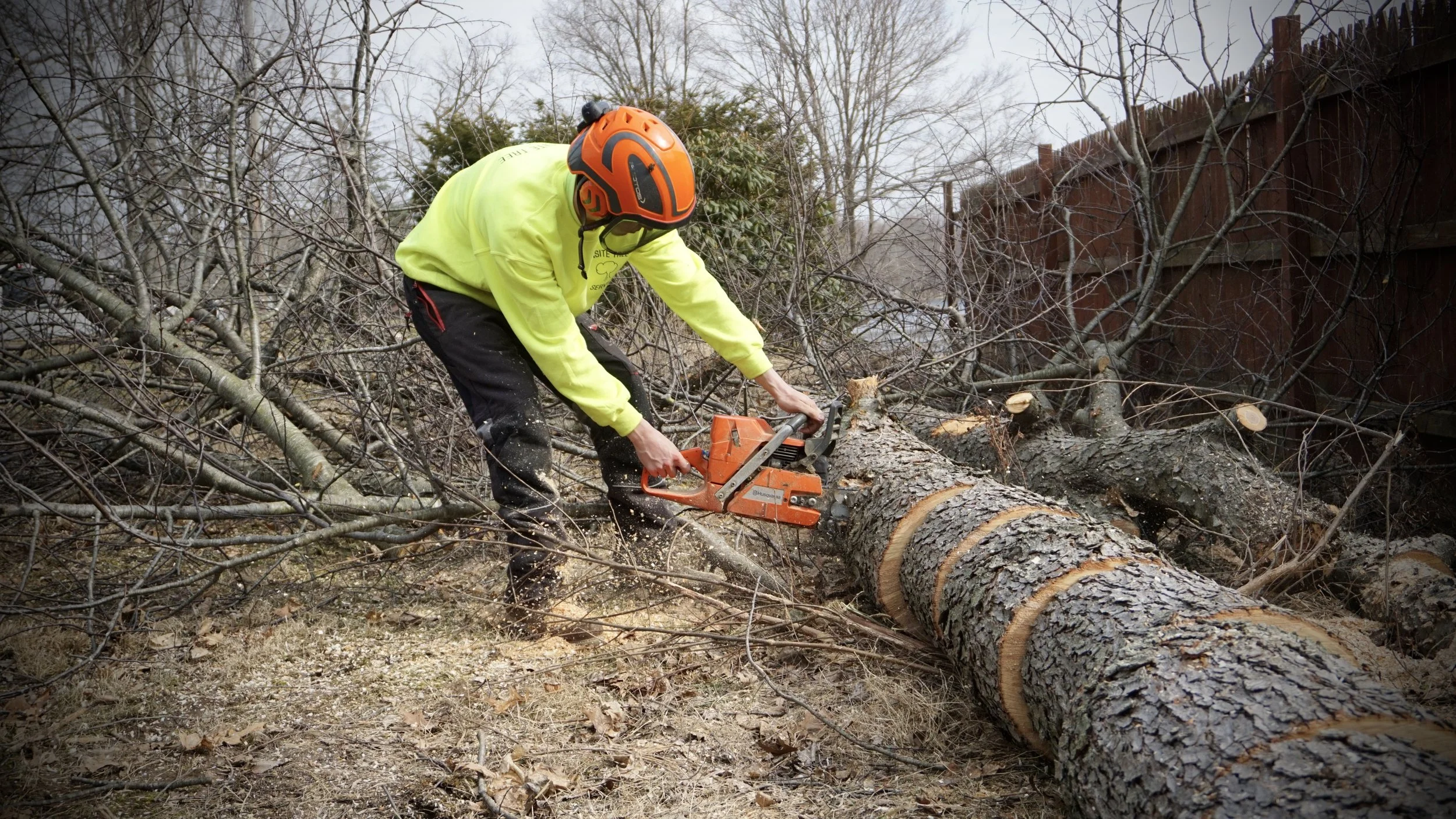 OnSite Tree Services