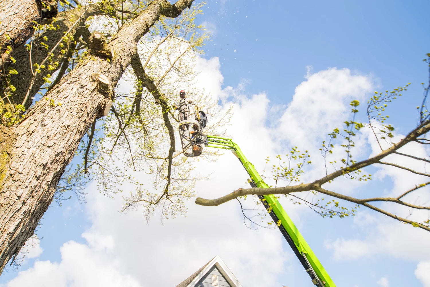 OnSite Tree Services