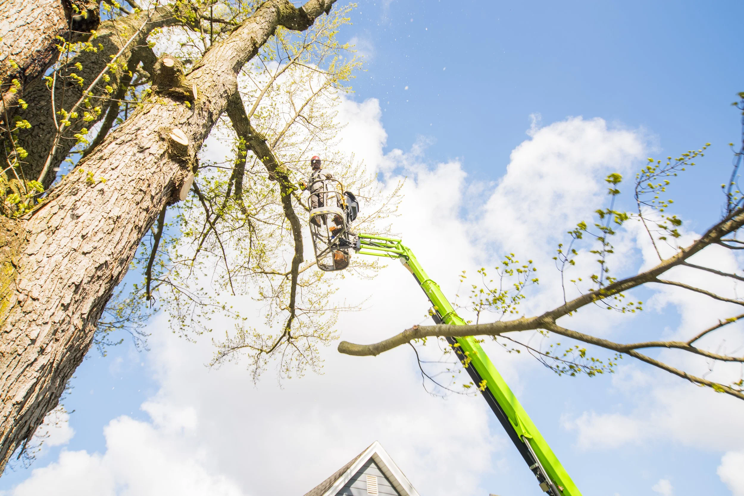 OnSite Tree Services